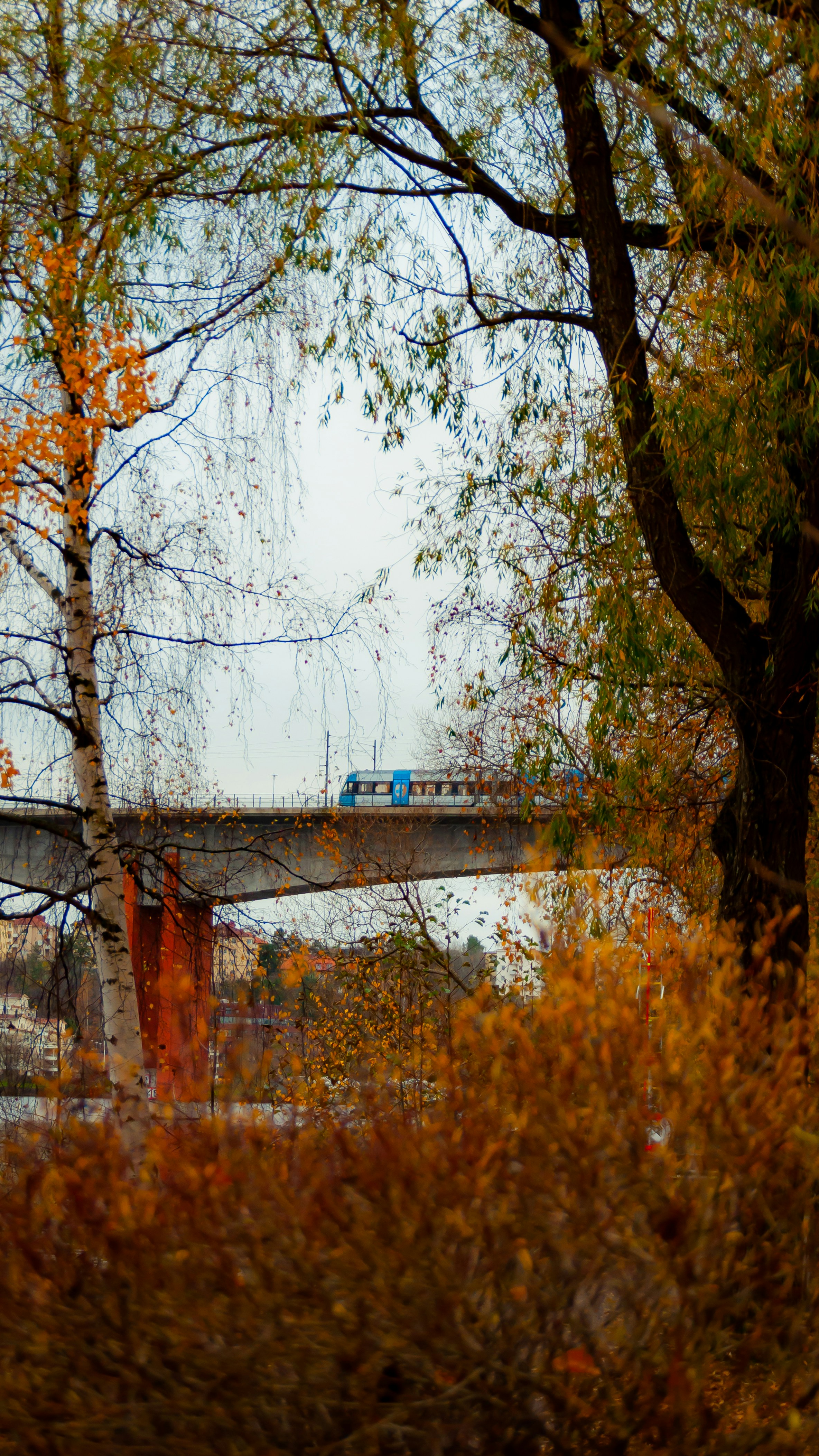 Azure Train Crossing: Autumn Light on a Weathered Bridge