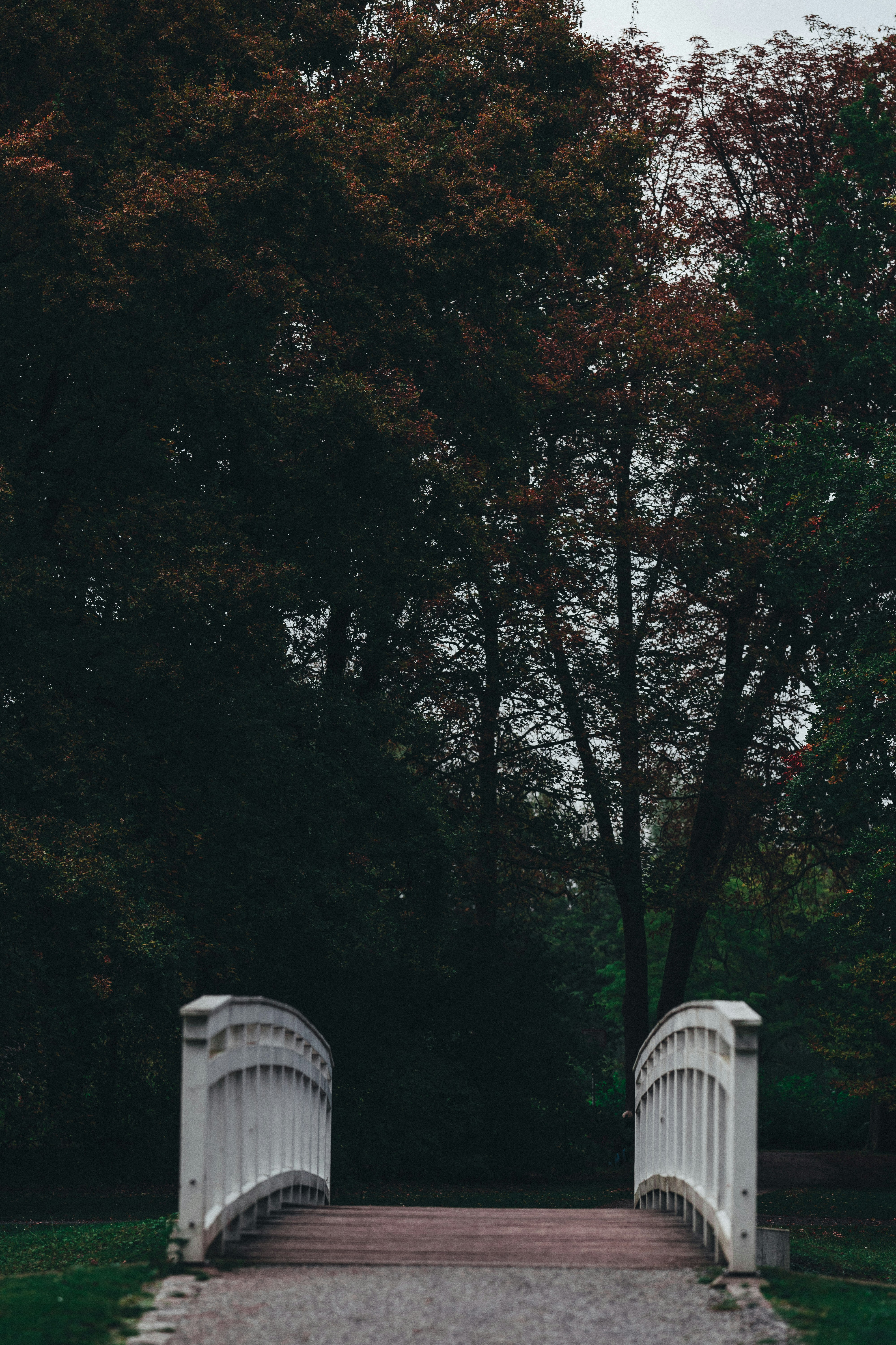 Bridge to Autumn Quiet: A Quiet Arch Over Gravel and Green
