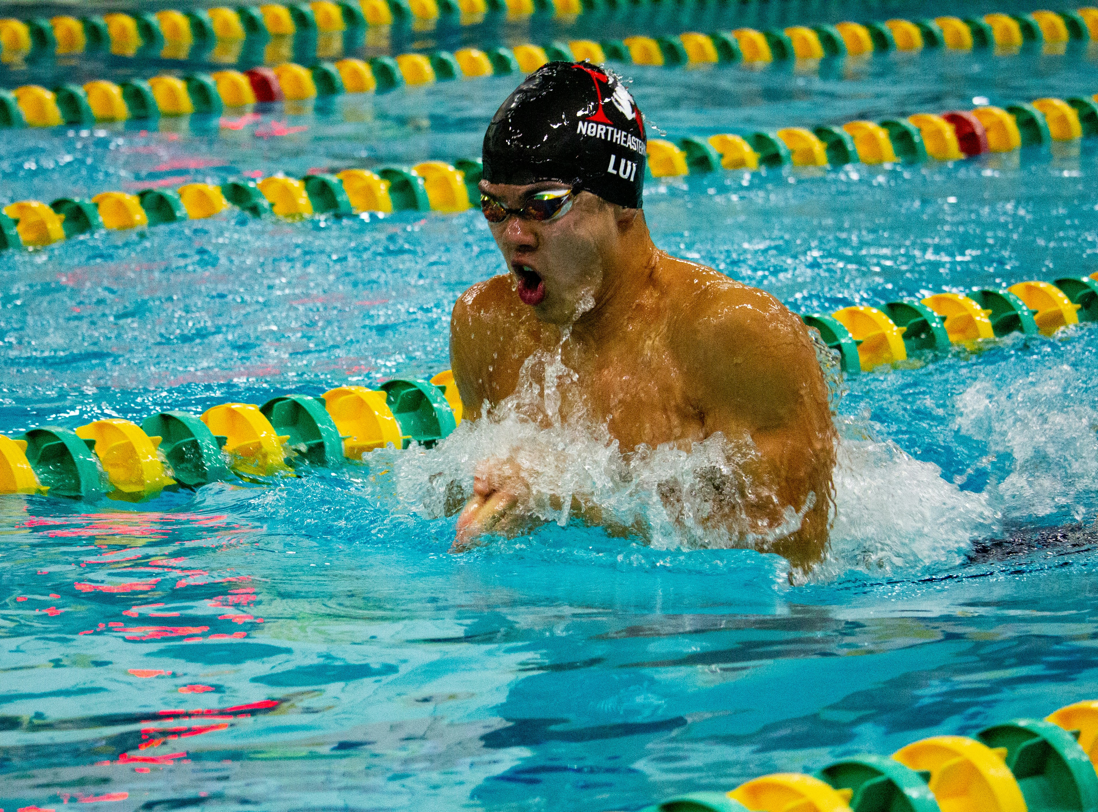 Man in swimming goggles in swimming pool photo – Free Vermont Image on ...