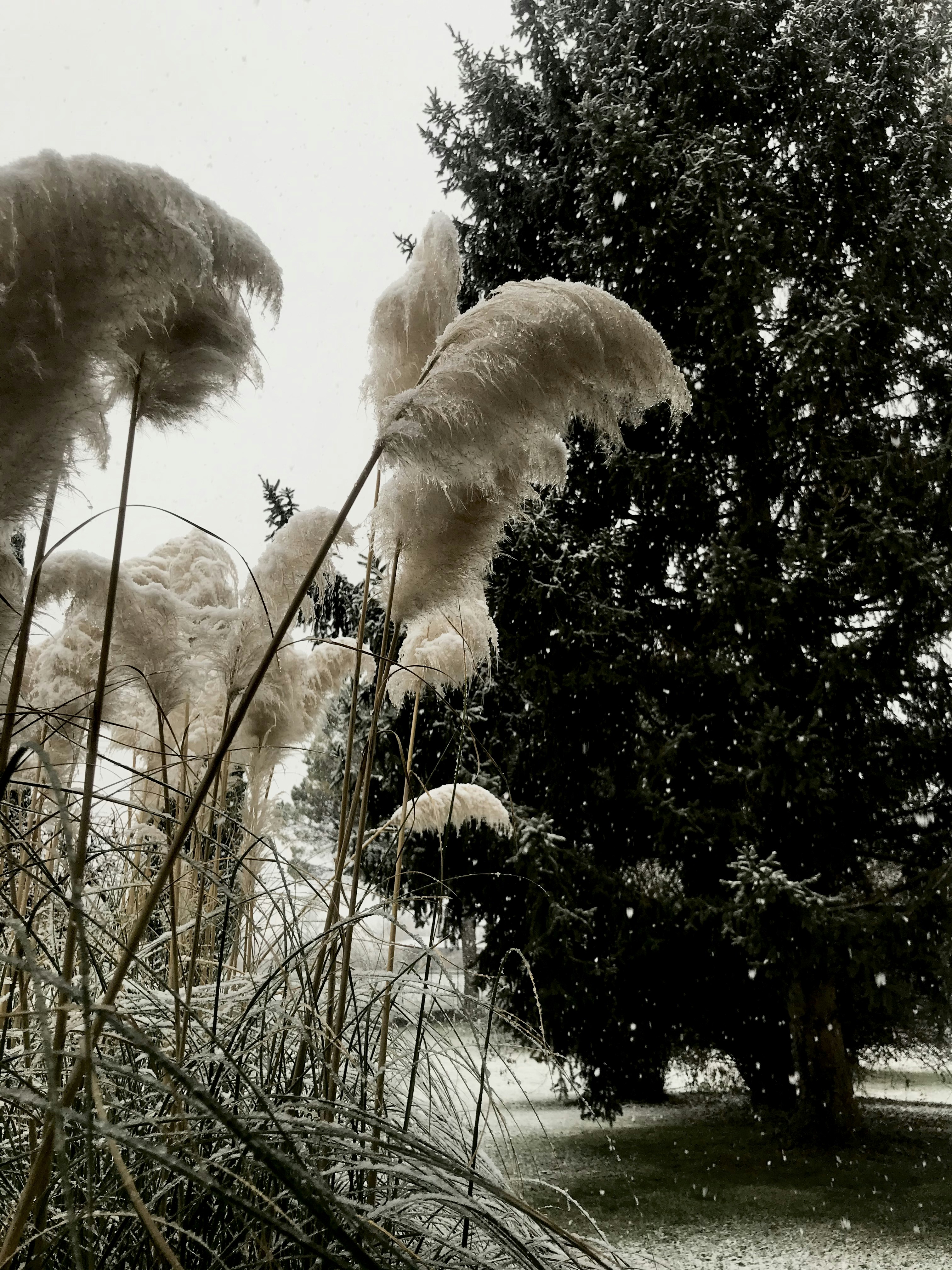 Francesco Zof (@francescozof) | Unsplash Photo Community