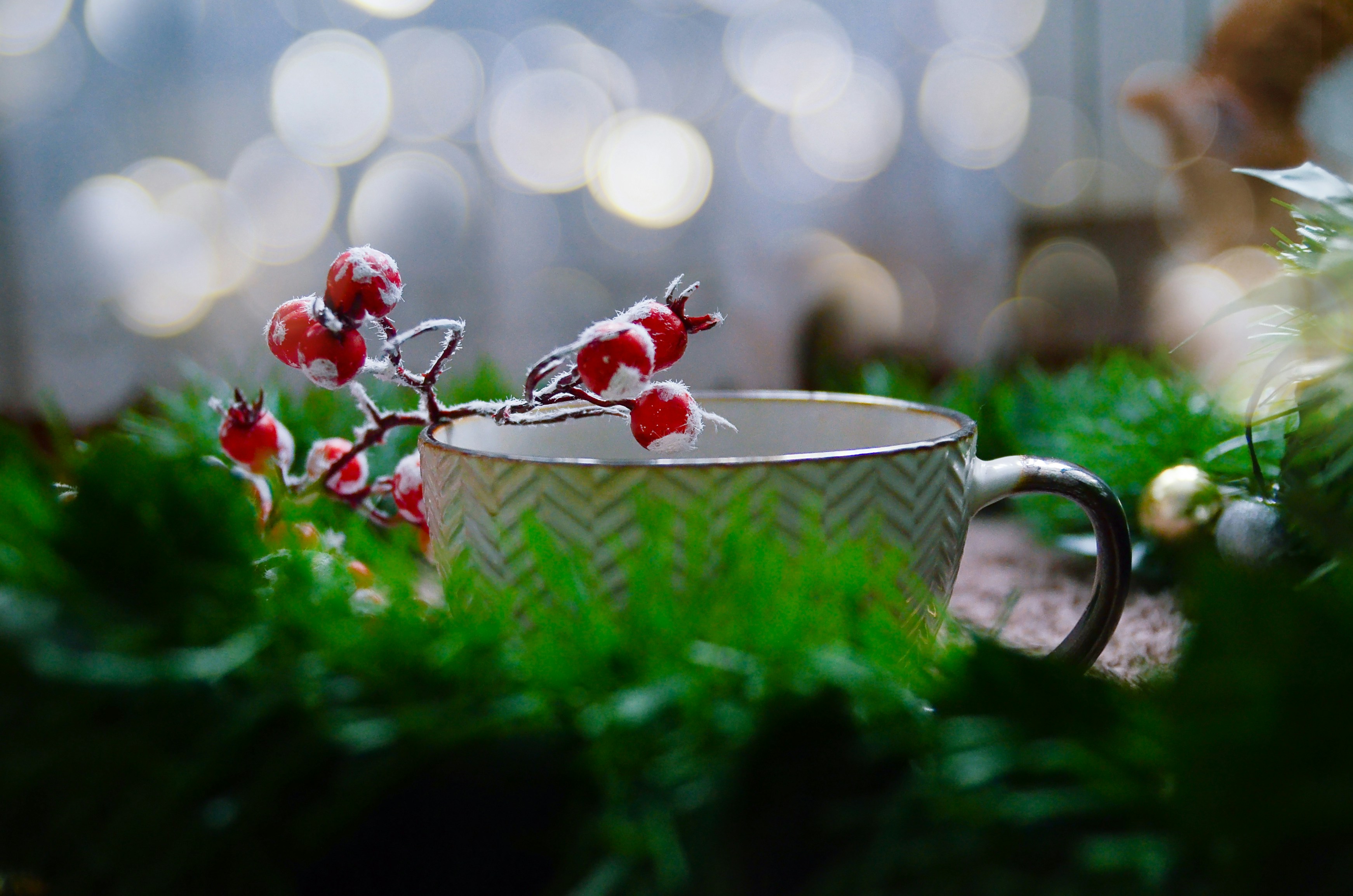 Fruits ronds rouges et blancs dans un mug en céramique verte photo ...