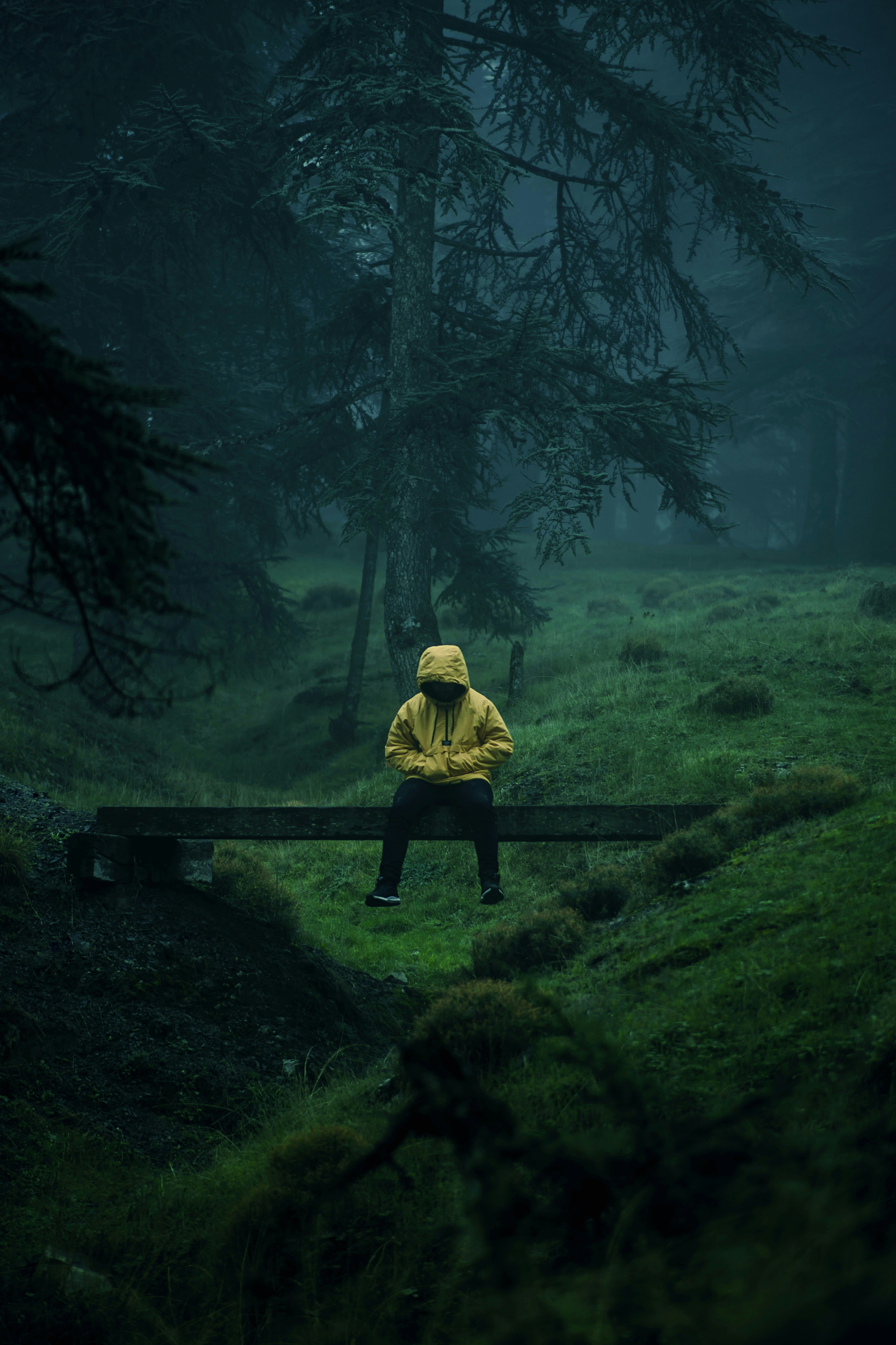 Yellow Beacon on a Forest Bench in the Mist