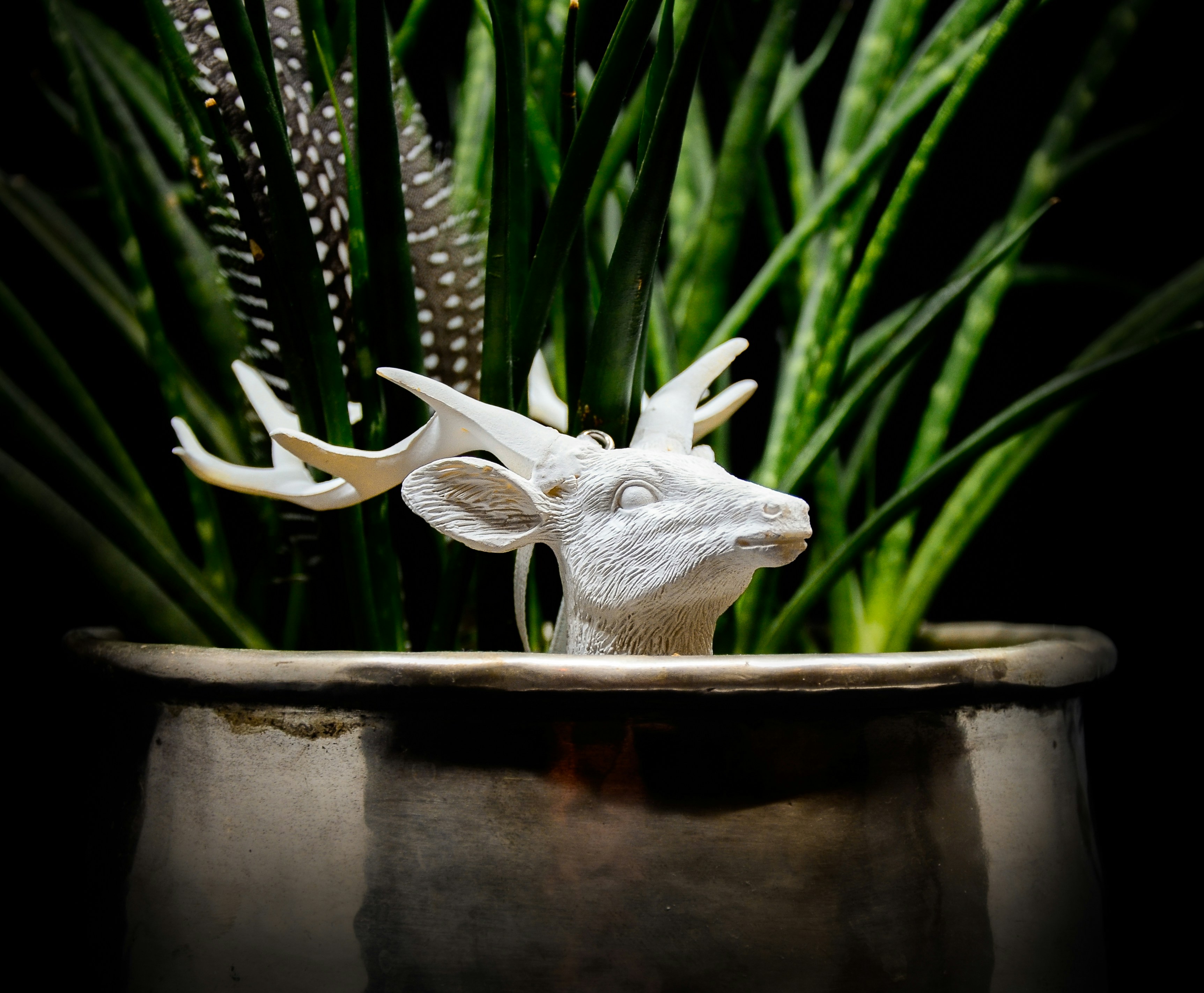 A small decoration of a deerhead in a plant.

My instagram - _sleepyarts._
 Location: Luzern, Schweiz
 Please tag me if you post/edit my photo!

