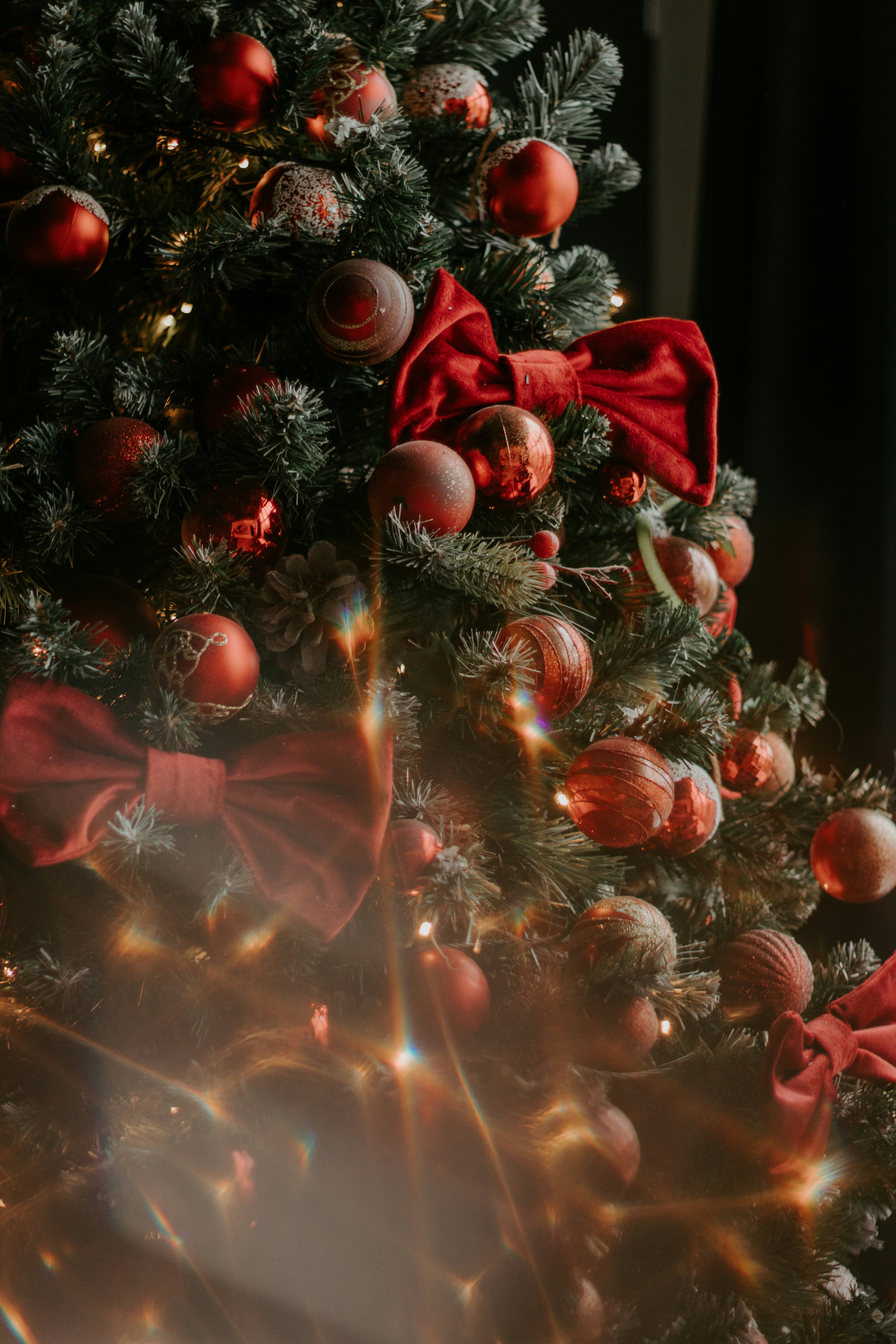 Red and white baubles on christmas tree photo – Free Christmas Image on ...