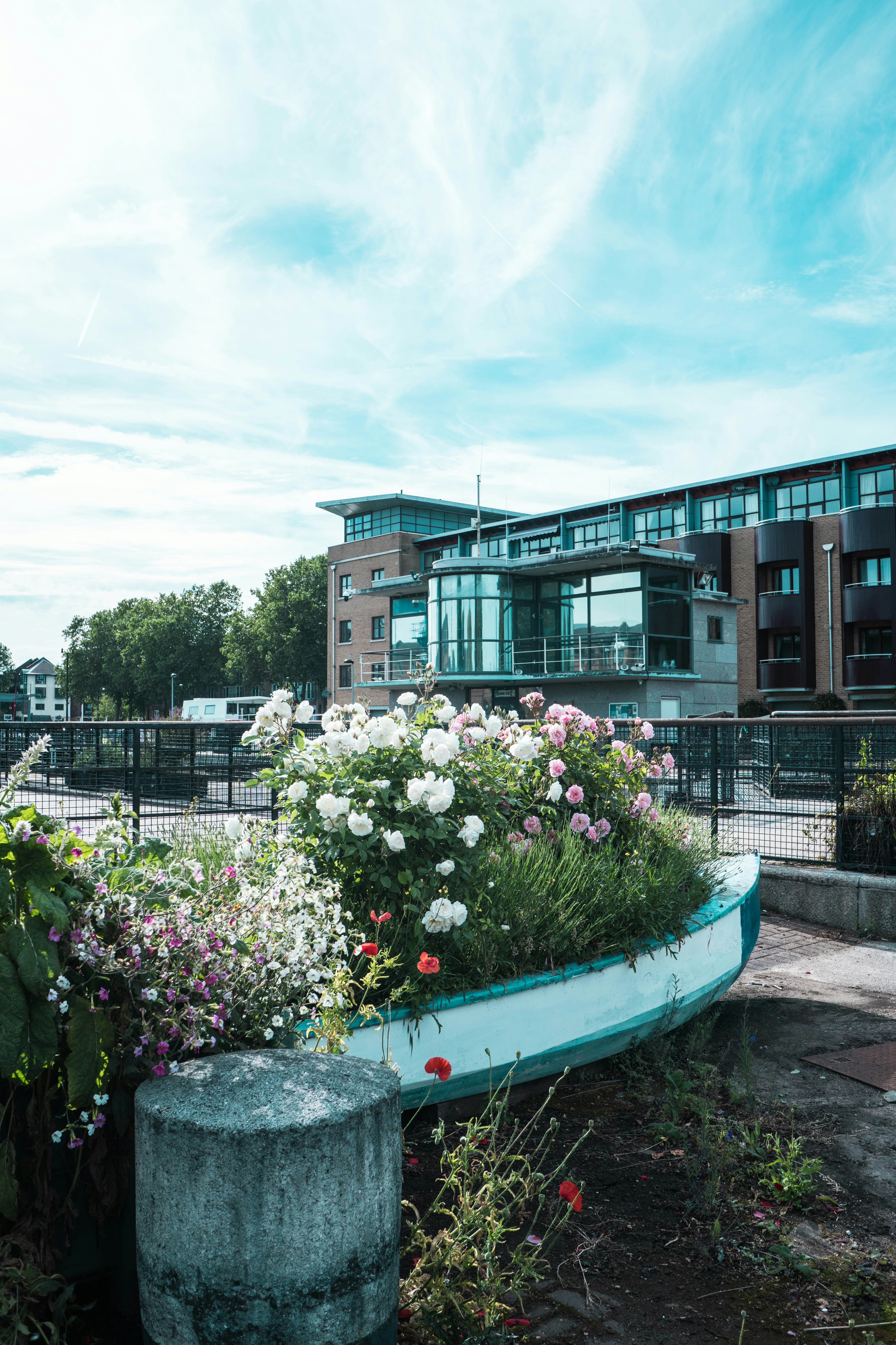 Urban bouquet by the canal: flowers frame a modern riverside complex