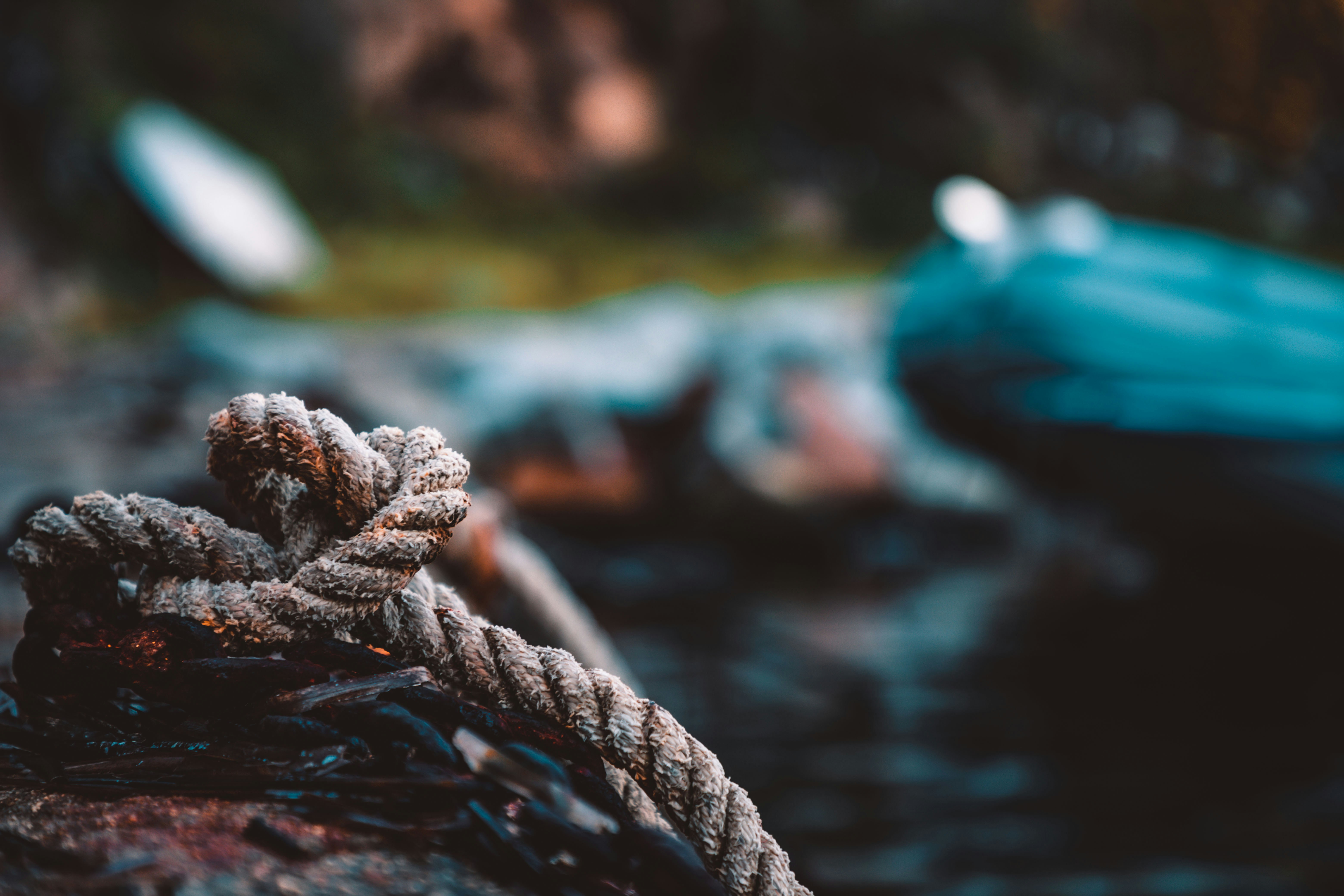 Frayed Rope in Focus: Quiet Waterfront Detail