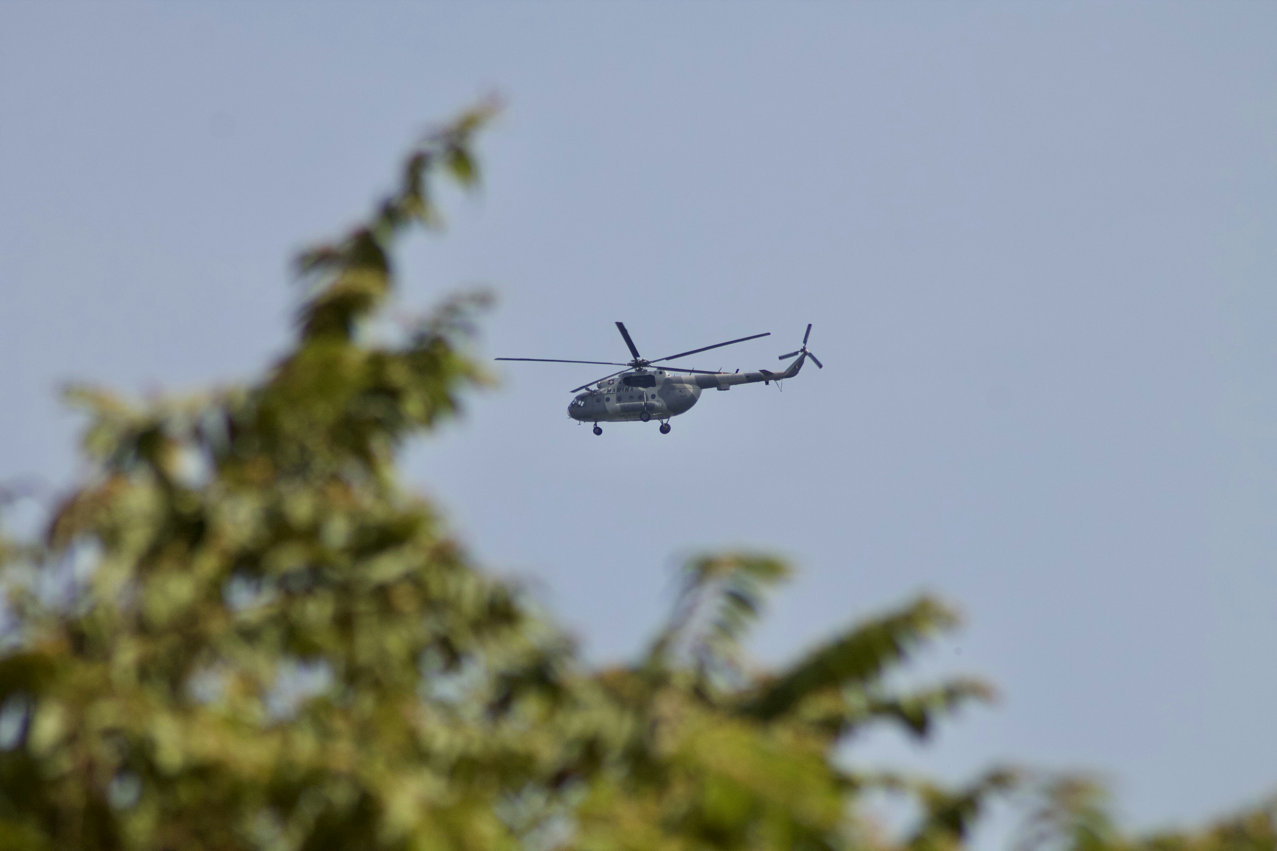 Military helicopter hovering above treetops against a clear sky.