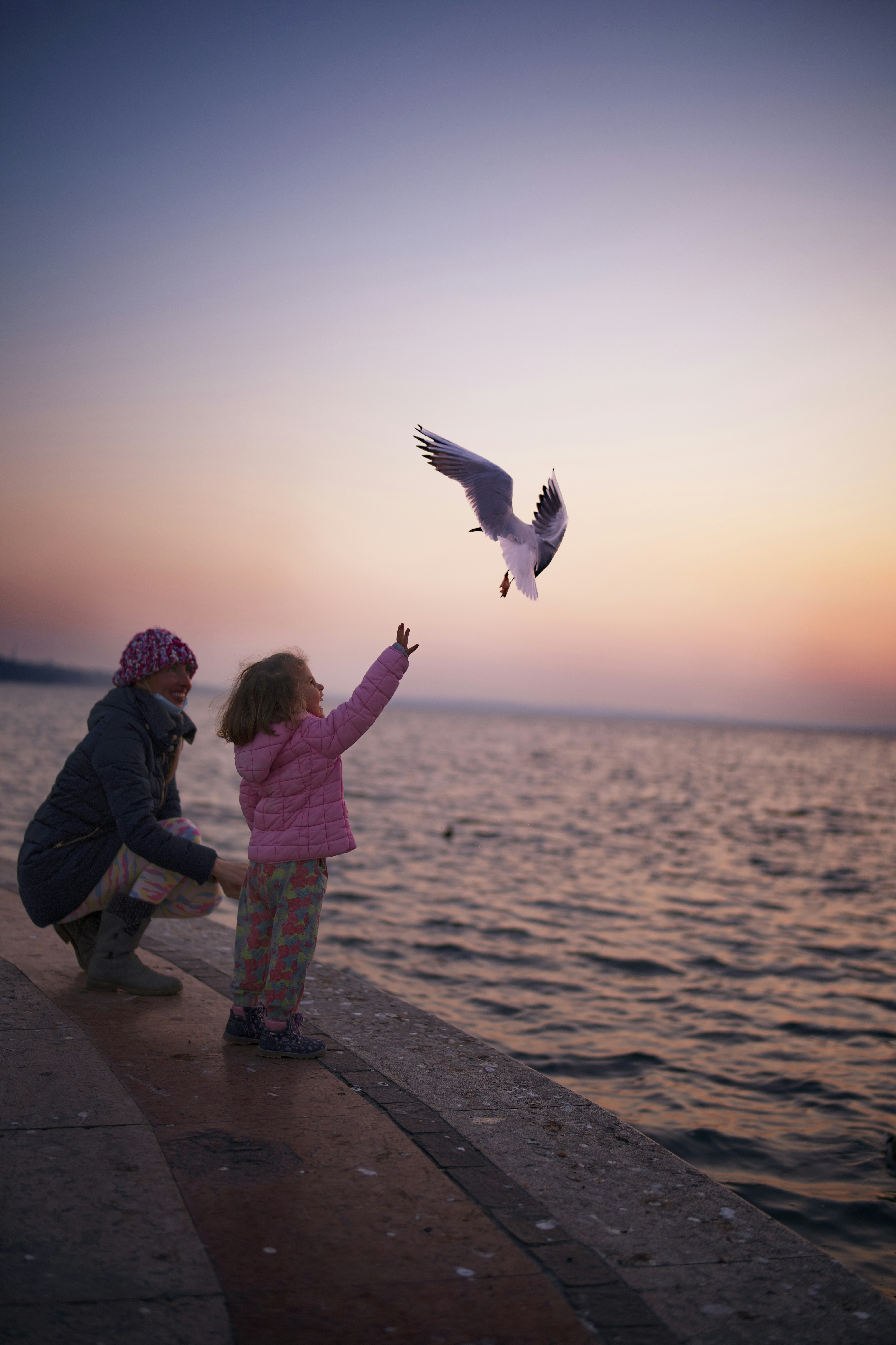 Winged Moment at Sunset: A Child’s Gesture and a Seagull’s Leap