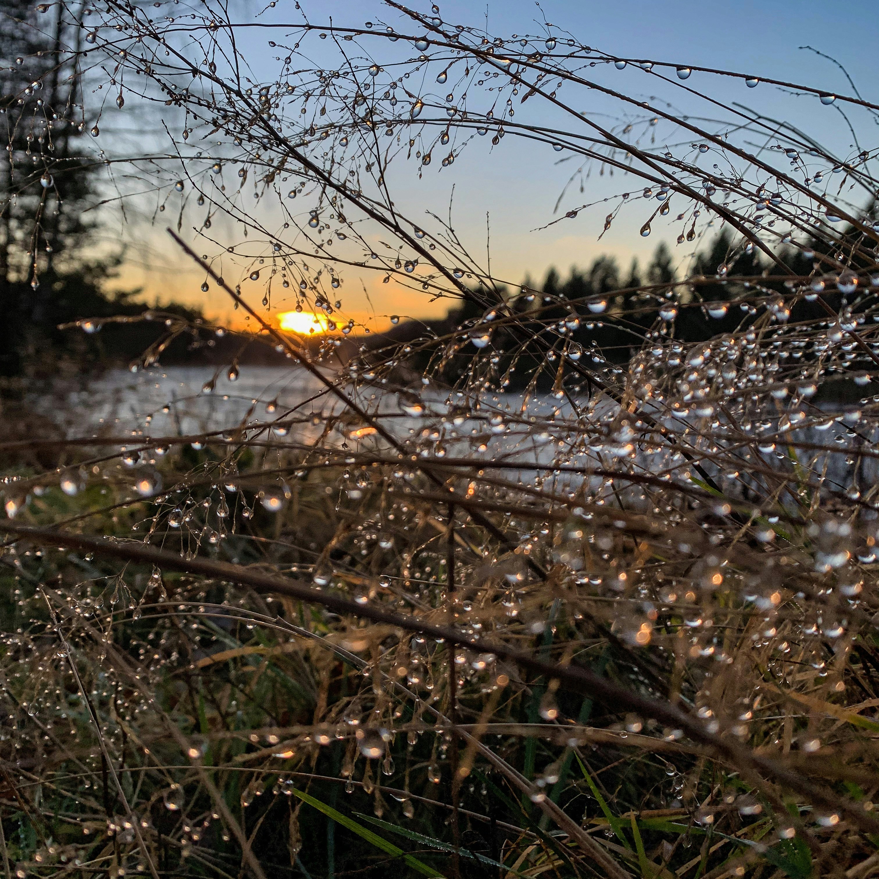 Piotr Litwicki (@pitrek73) | Unsplash Photo Community