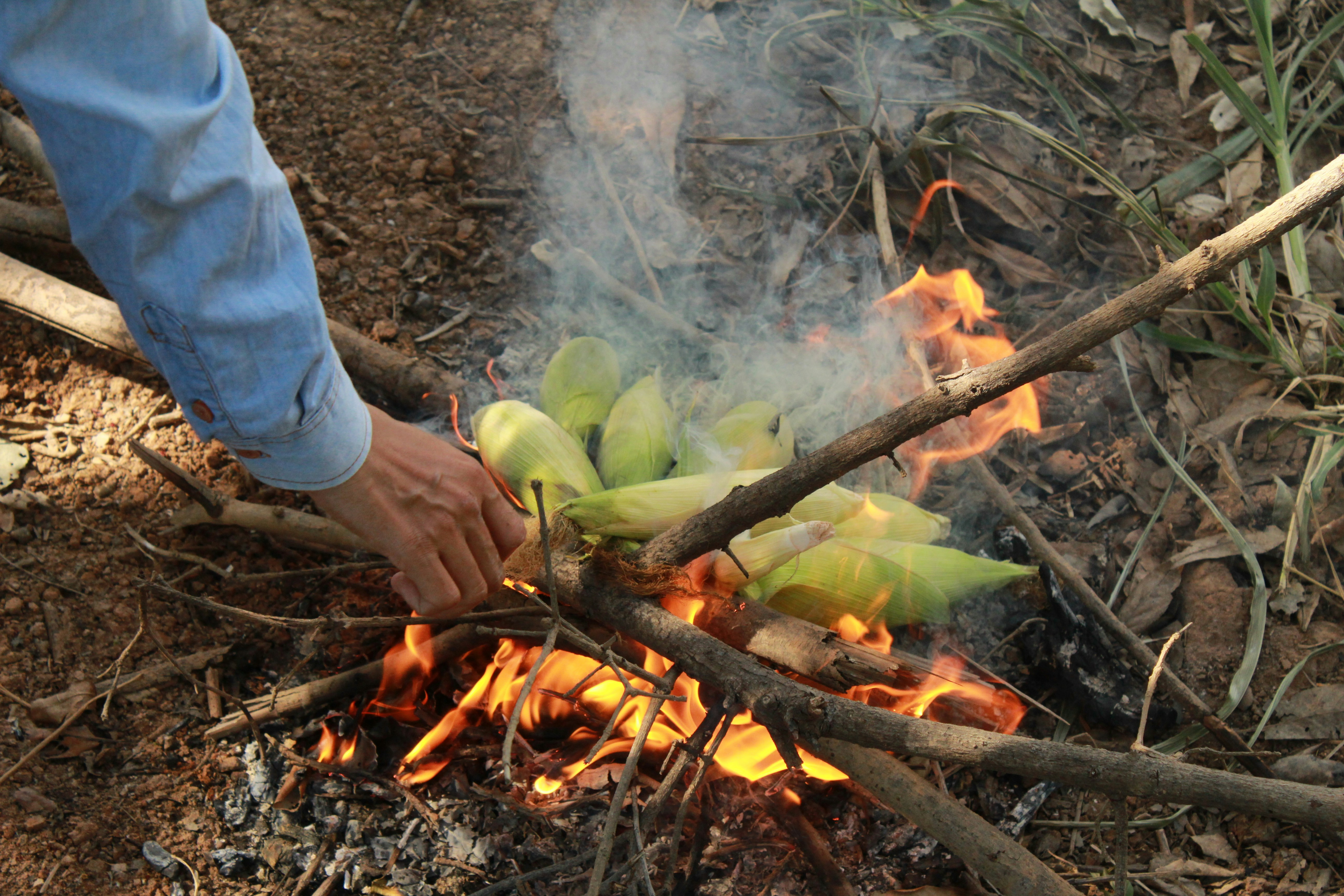 person in white long sleeve shirt holding green fruit