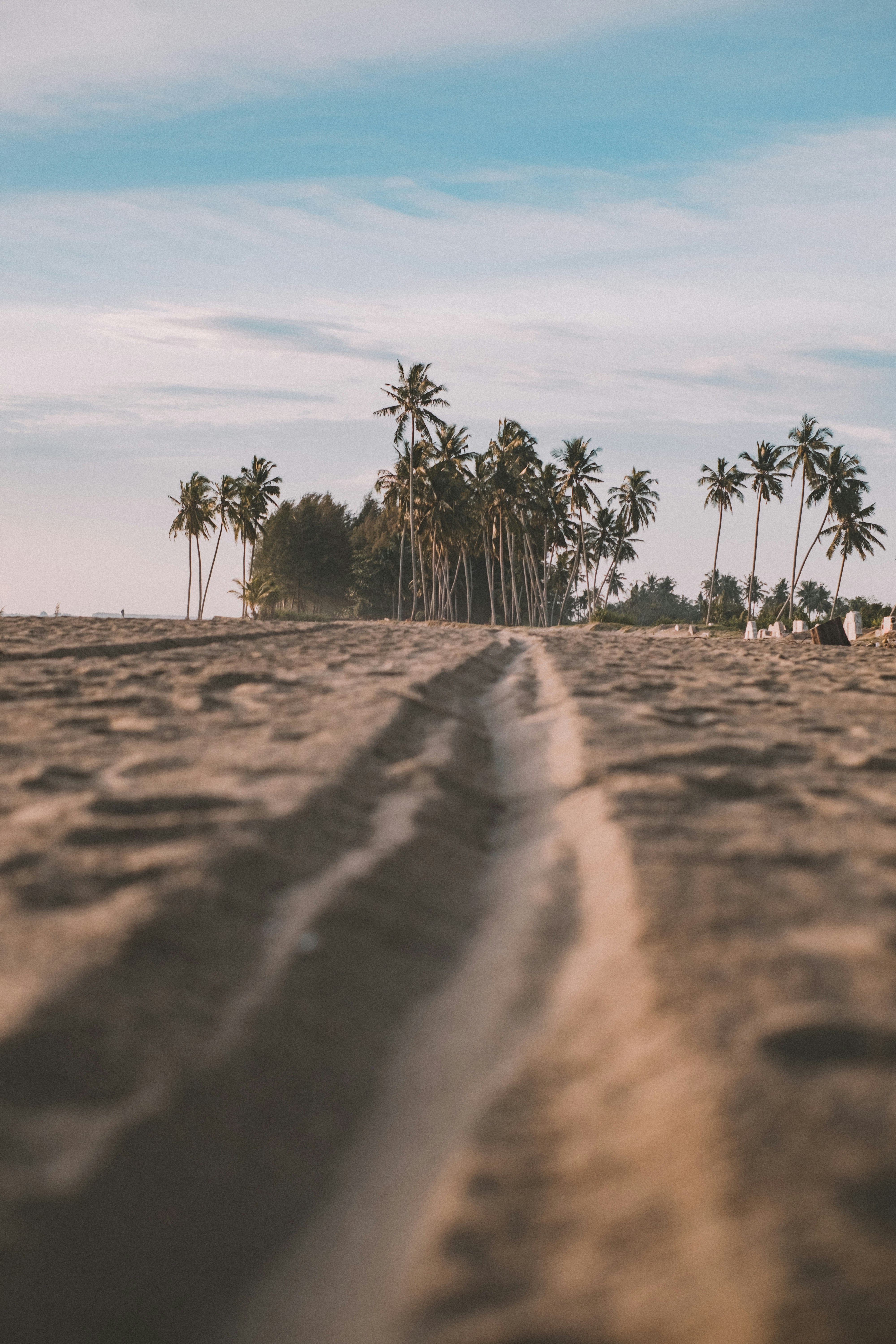 Tire tracks lead through soft sand towards a cluster of palm trees under a serene sky. The scene evokes a sense of tranquility and adventure.