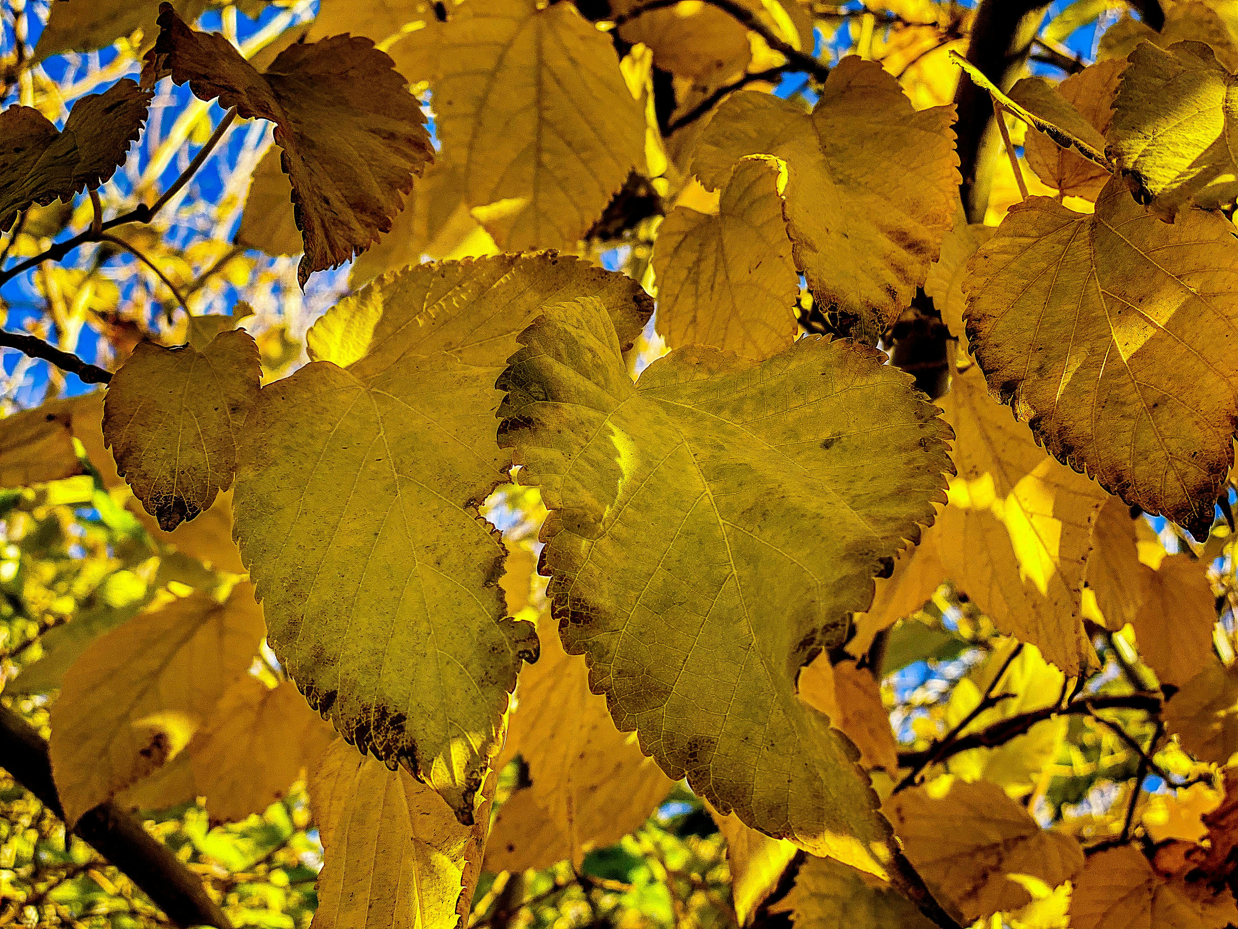 Arias Jay (@janethar) | Unsplash Photo Community