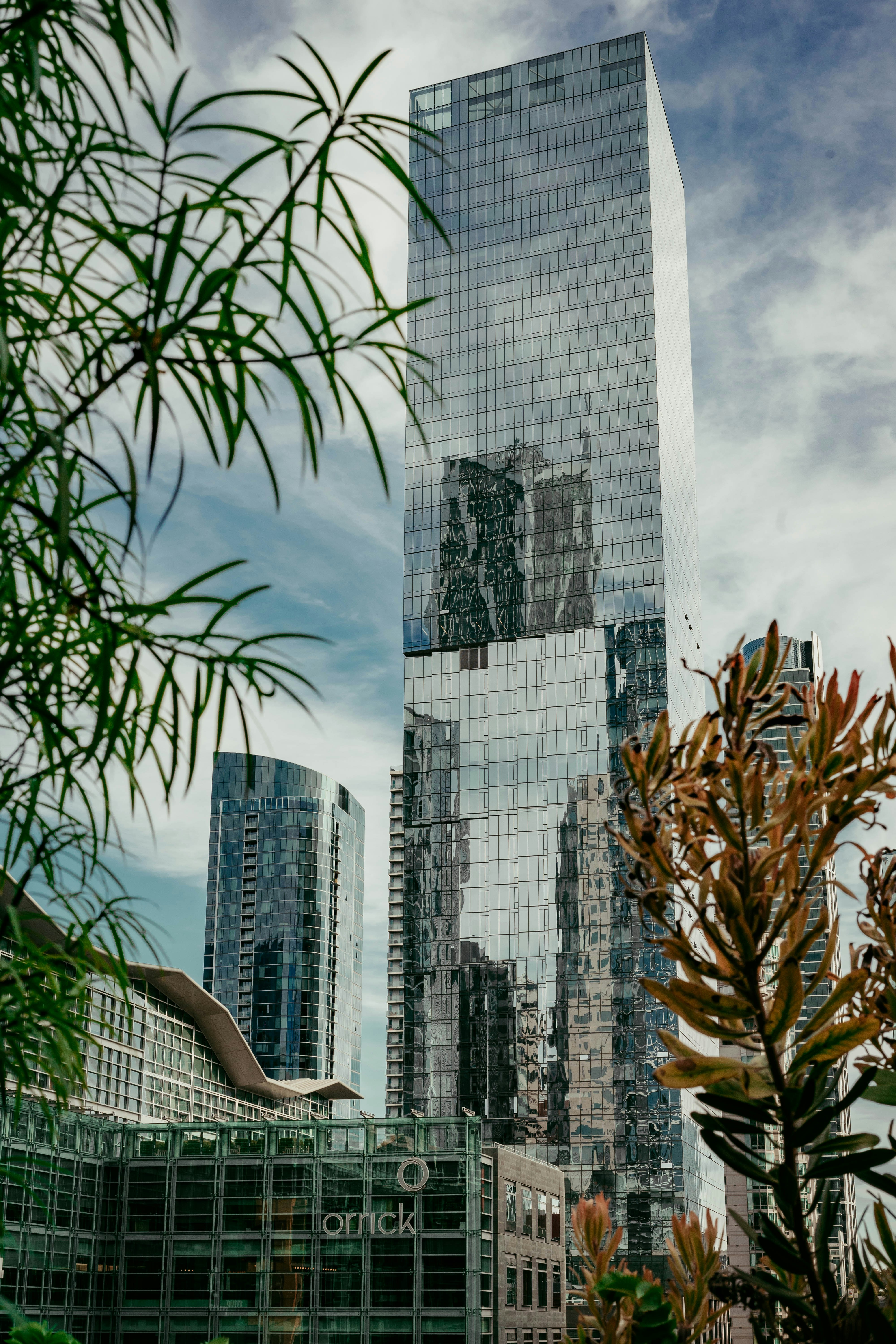 Glass Tower Reflections: A Cityscape Framed by Greenery