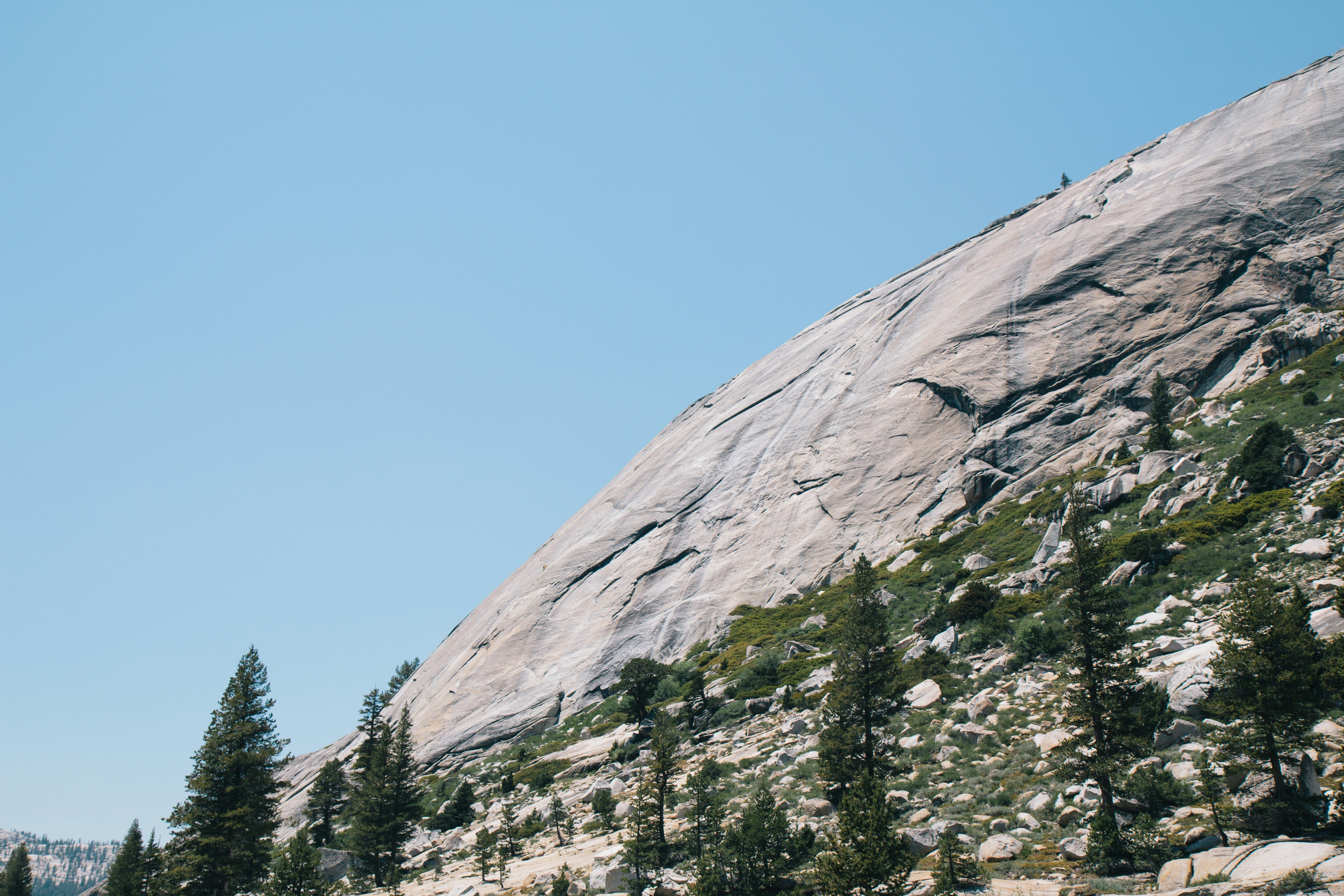 A majestic granite rock face rises sharply against a clear blue sky, surrounded by resilient coniferous trees on a sloped terrain.