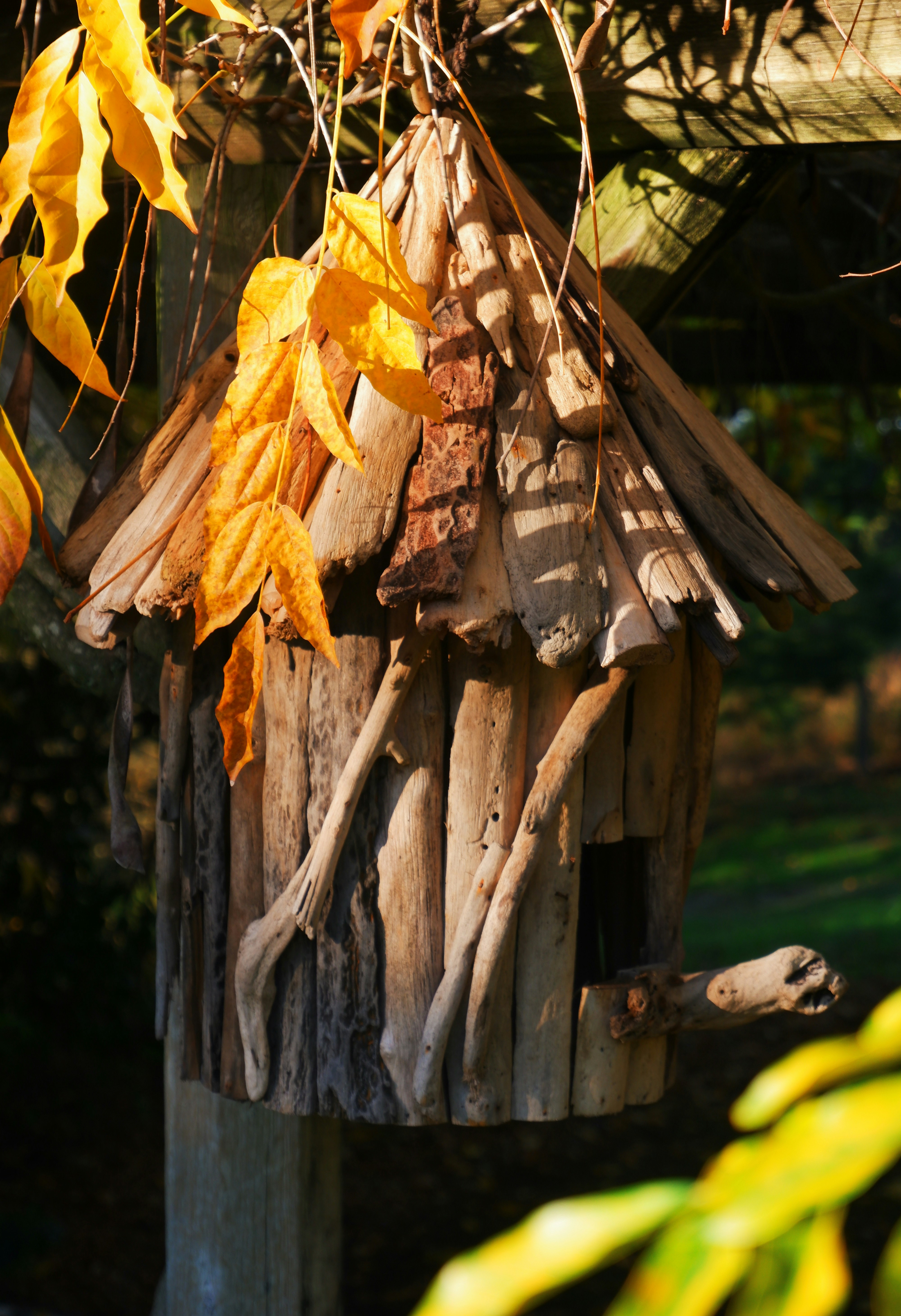 Autumn Light on a Weathered Birdhouse