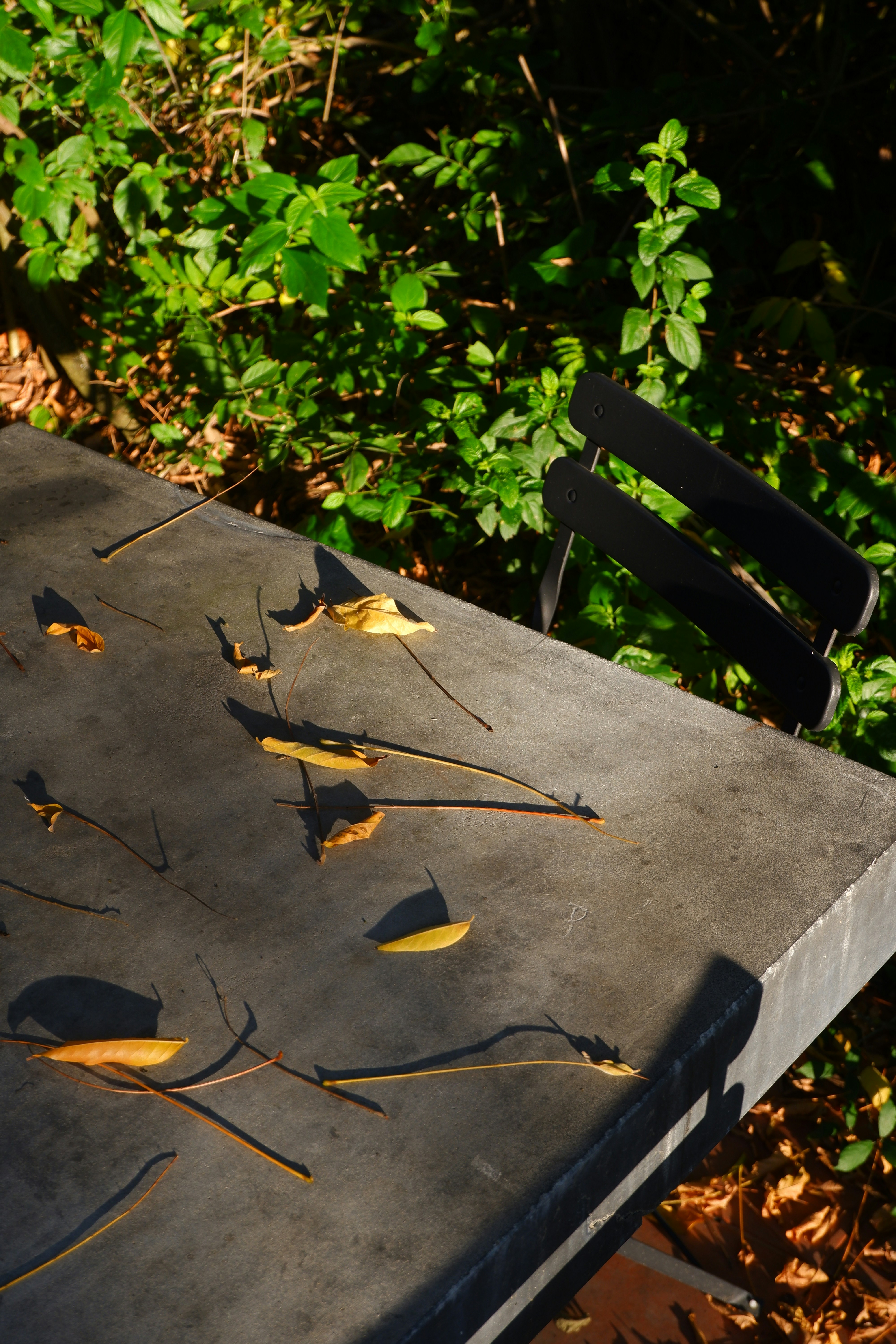Concrete table adorned with fallen leaves, surrounded by lush greenery. A black chair rests nearby, inviting contemplation.