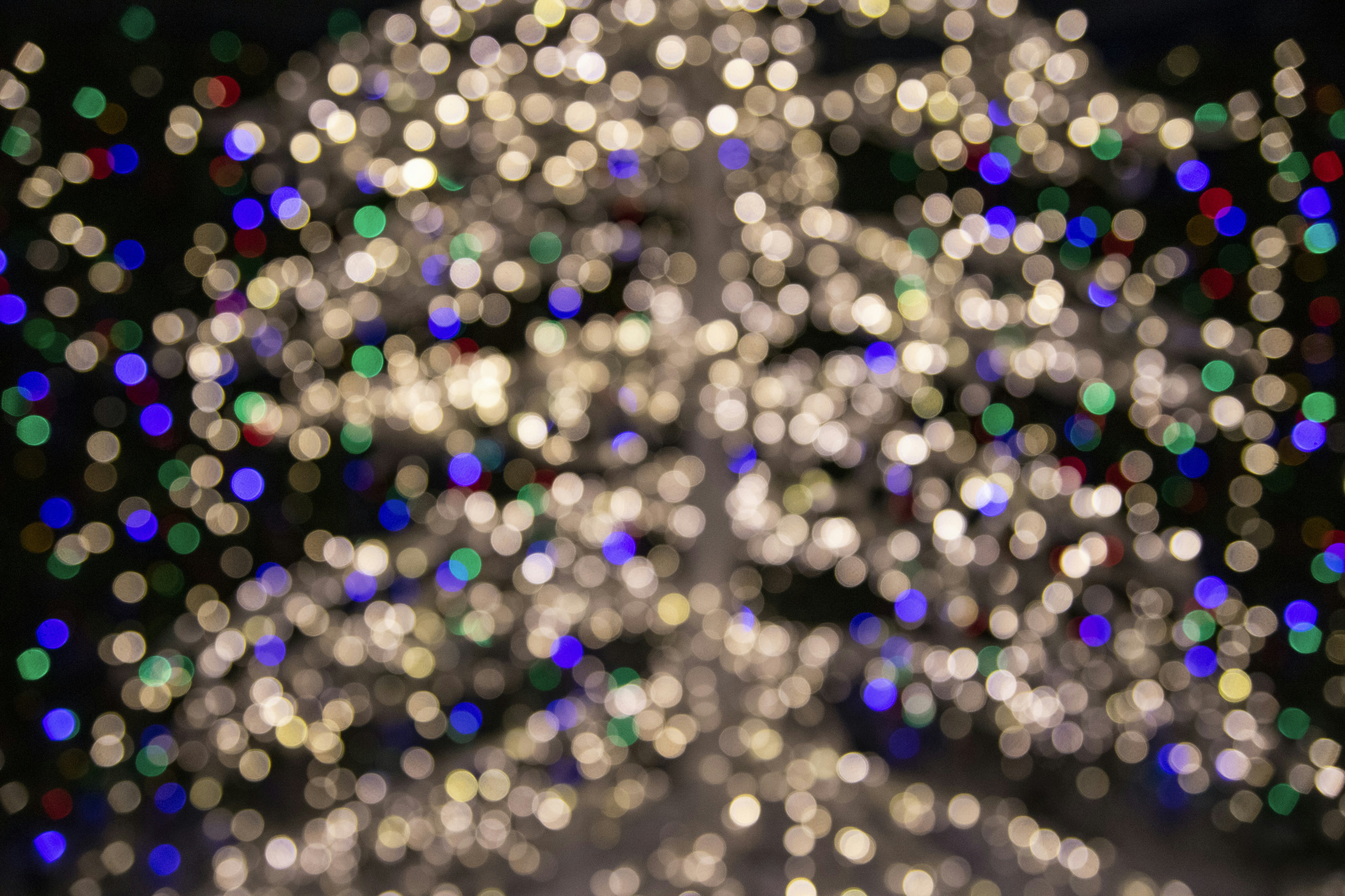 Luces bokeh azules y blancas foto – Imagen de San Petersburgo gratuita ...