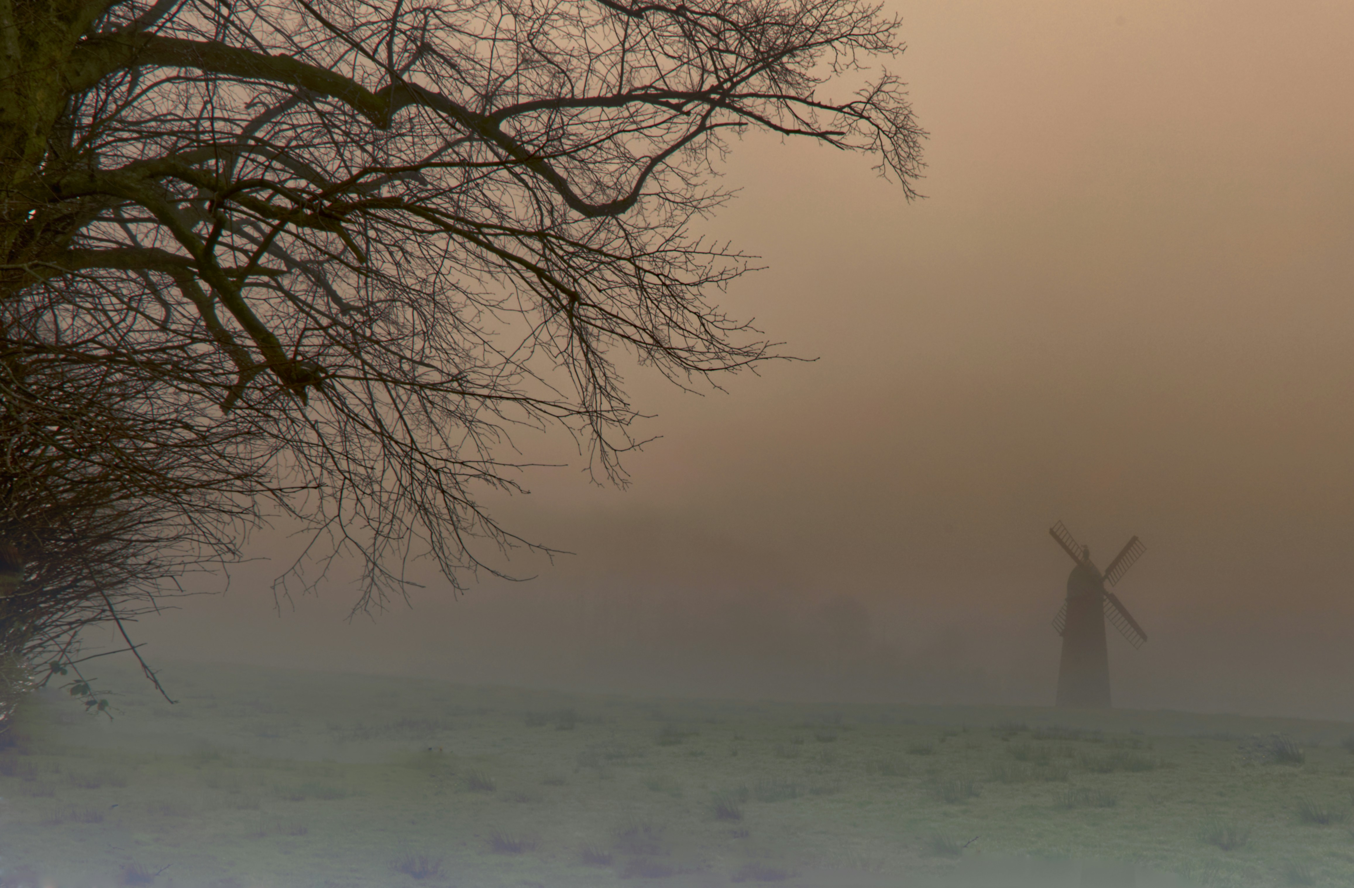 Whispers of the Windmill in the Mist