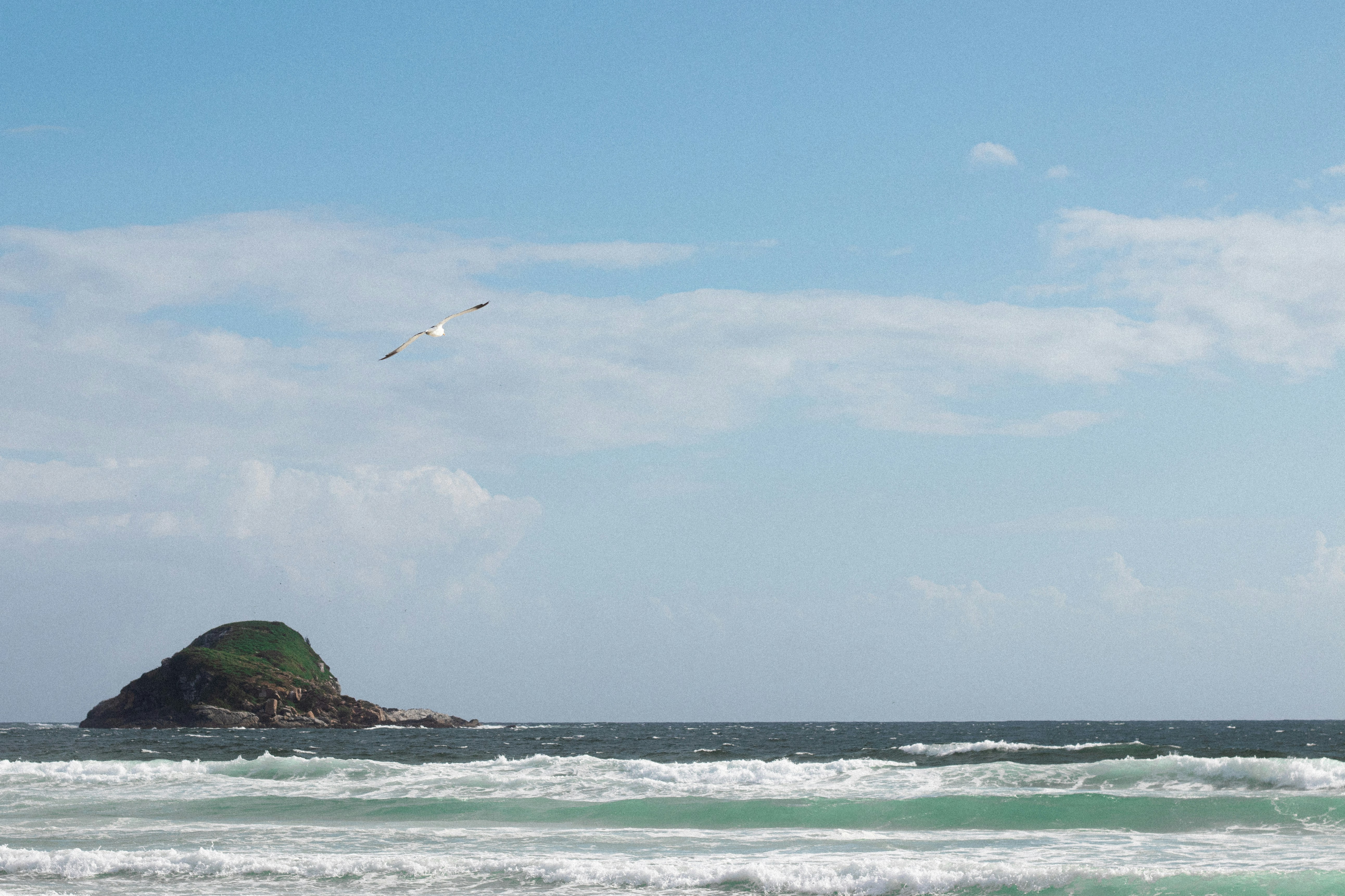 A solitary island rises from the ocean, with gentle waves lapping at its shores under a clear blue sky. A seagull soars gracefully overhead.