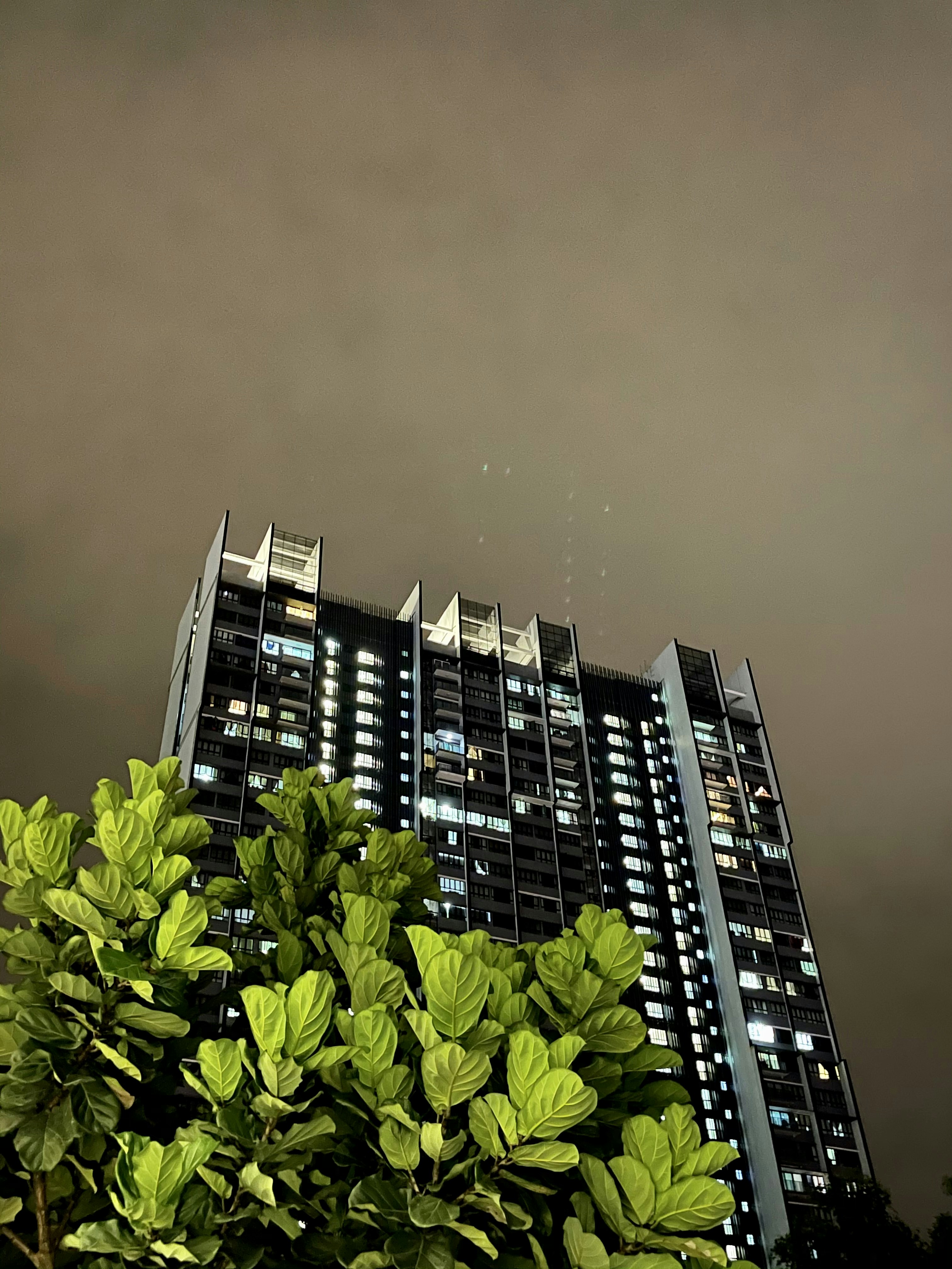 Illuminated high-rise building against a cloudy night sky, framed by lush green foliage in the foreground.