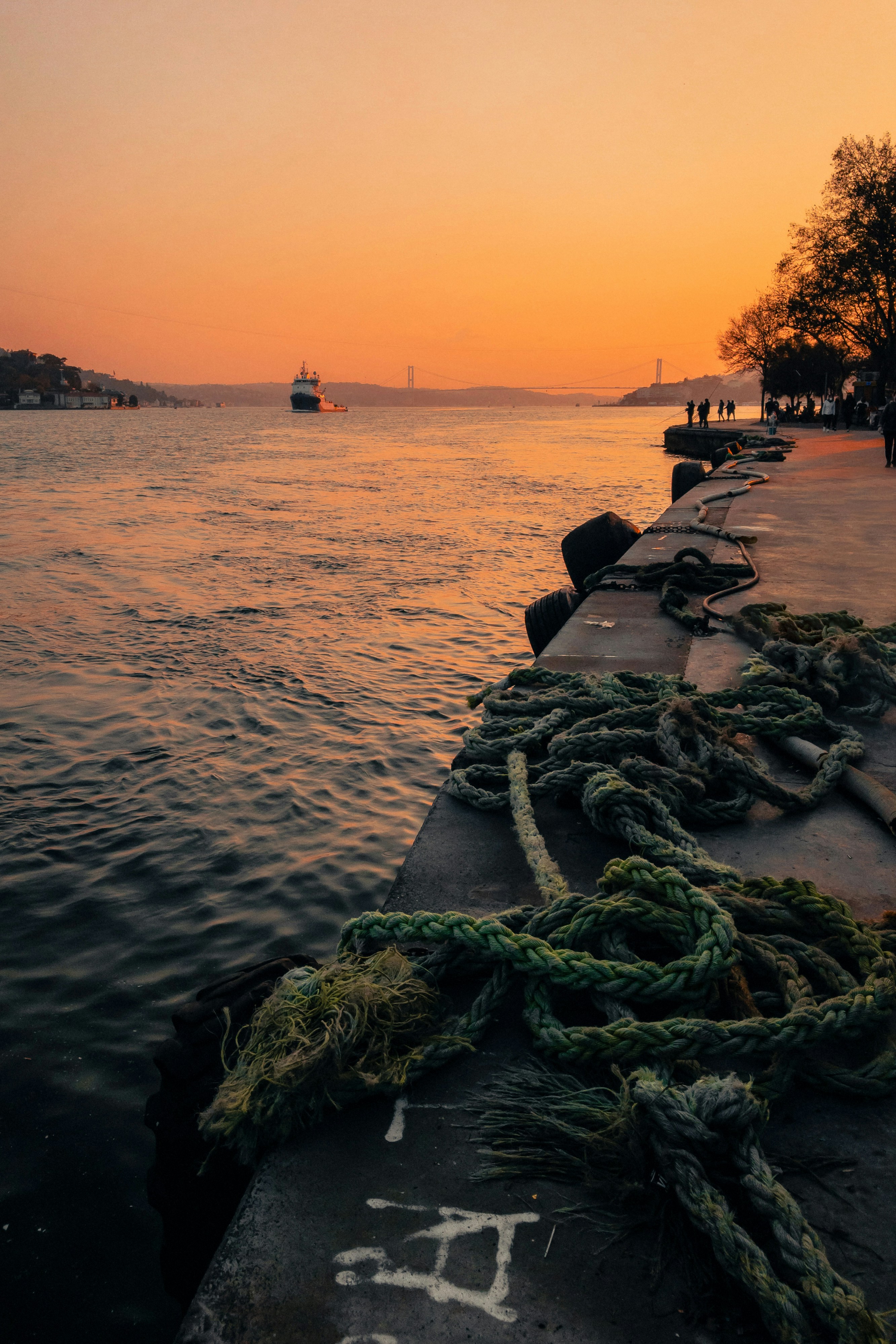 Dusk along the Dock: Ropes and a Distant Vessel