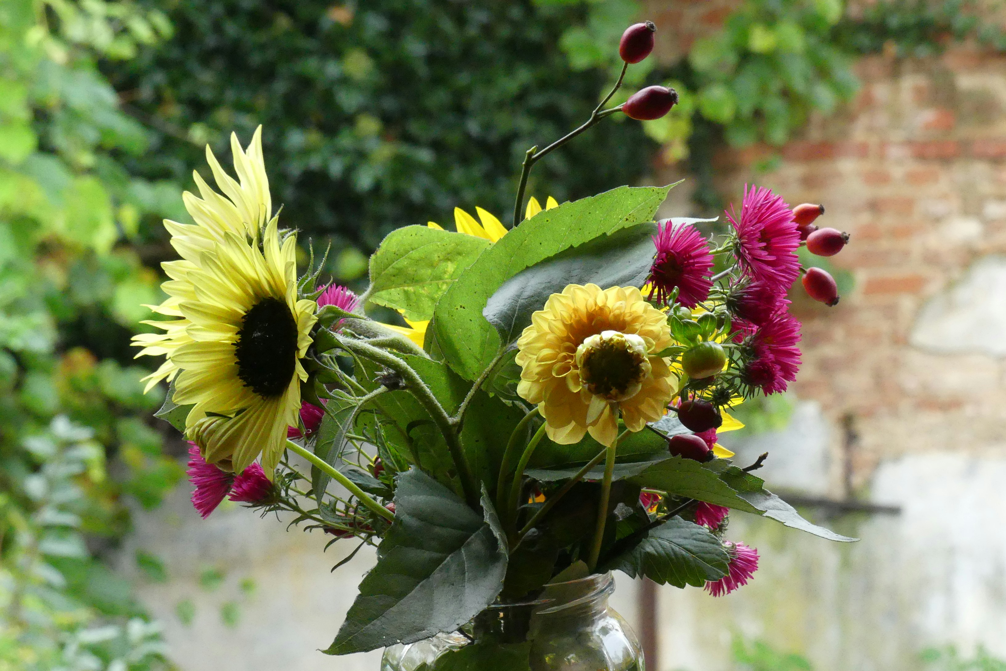 Sunlit bouquet of sunflowers and asters in a glass vase