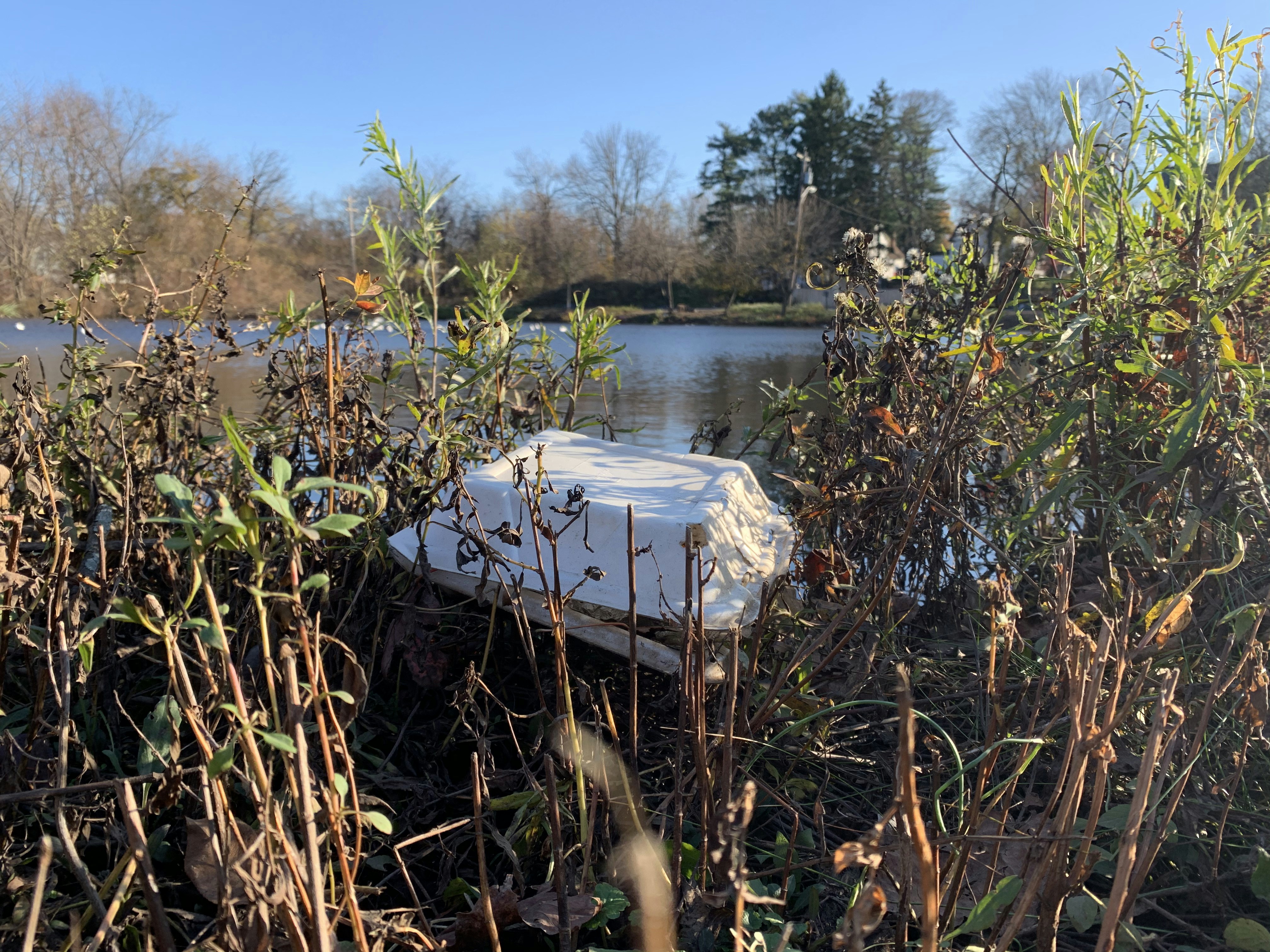 Green plants near body of water during daytime photo – Free Spring ...