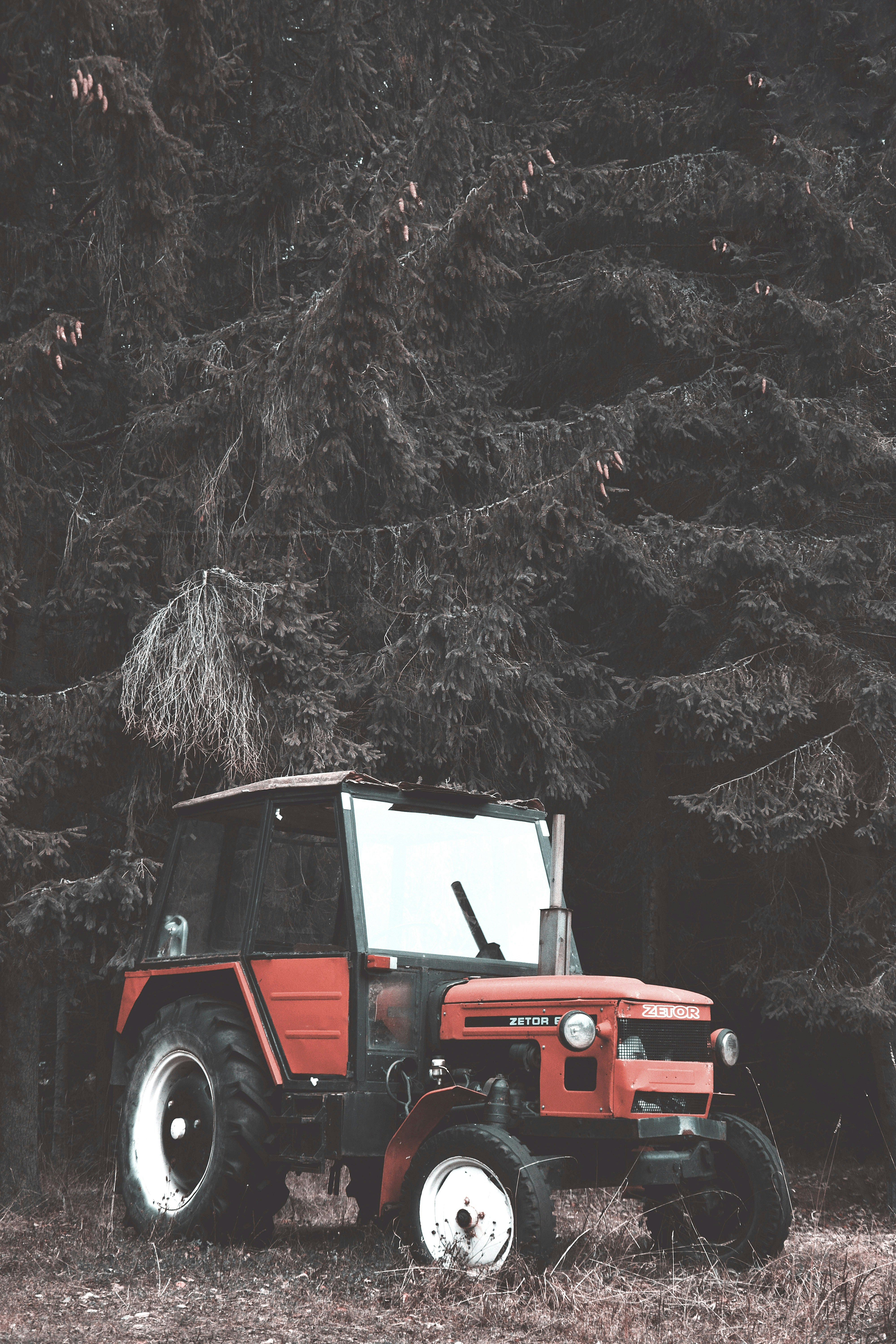 A weathered red tractor stands amidst dense evergreen trees, showcasing a blend of nature and machinery. The scene conveys a sense of nostalgia and abandonment.