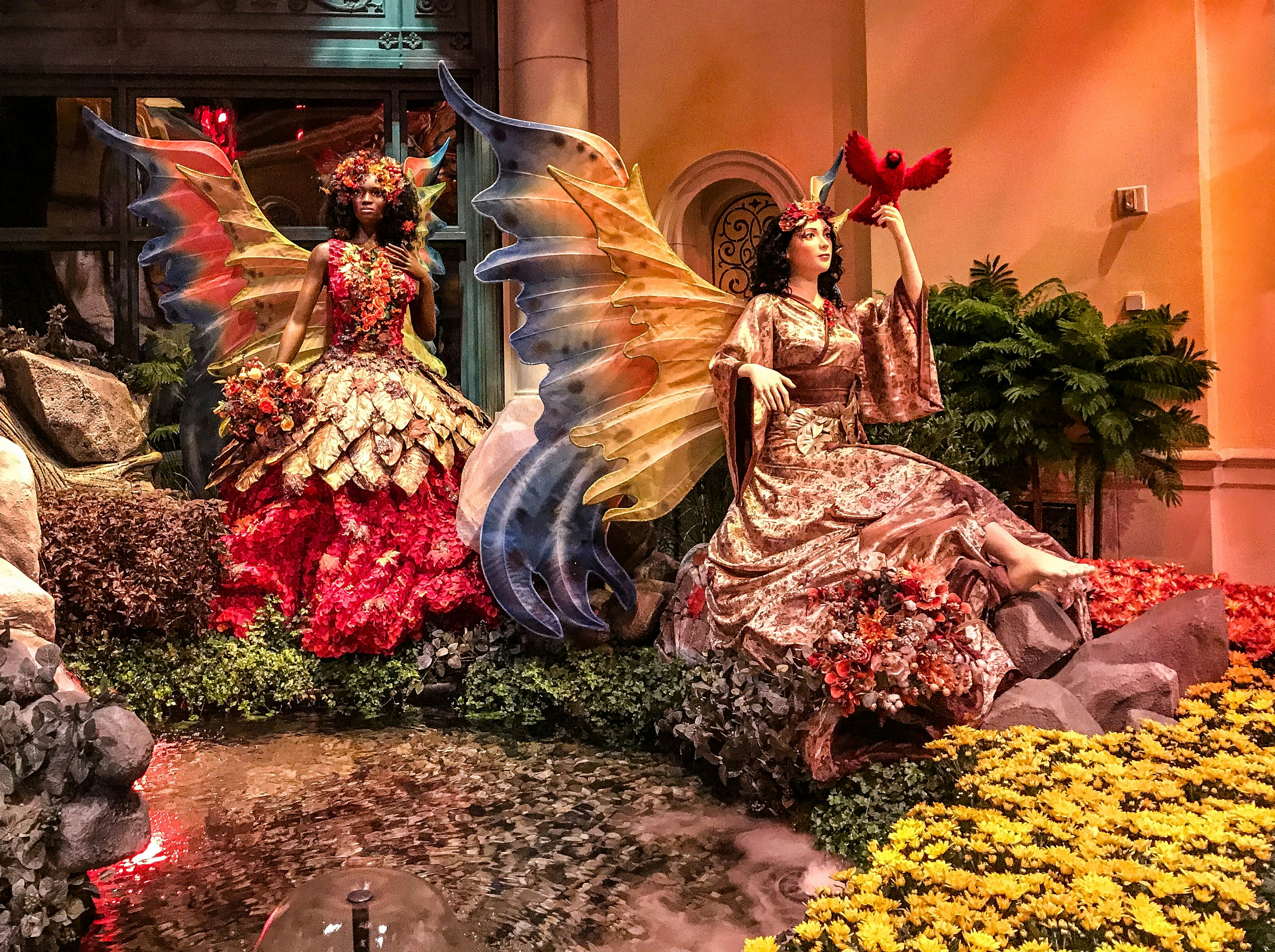 Arias Jay (@janethar) | Unsplash Photo Community