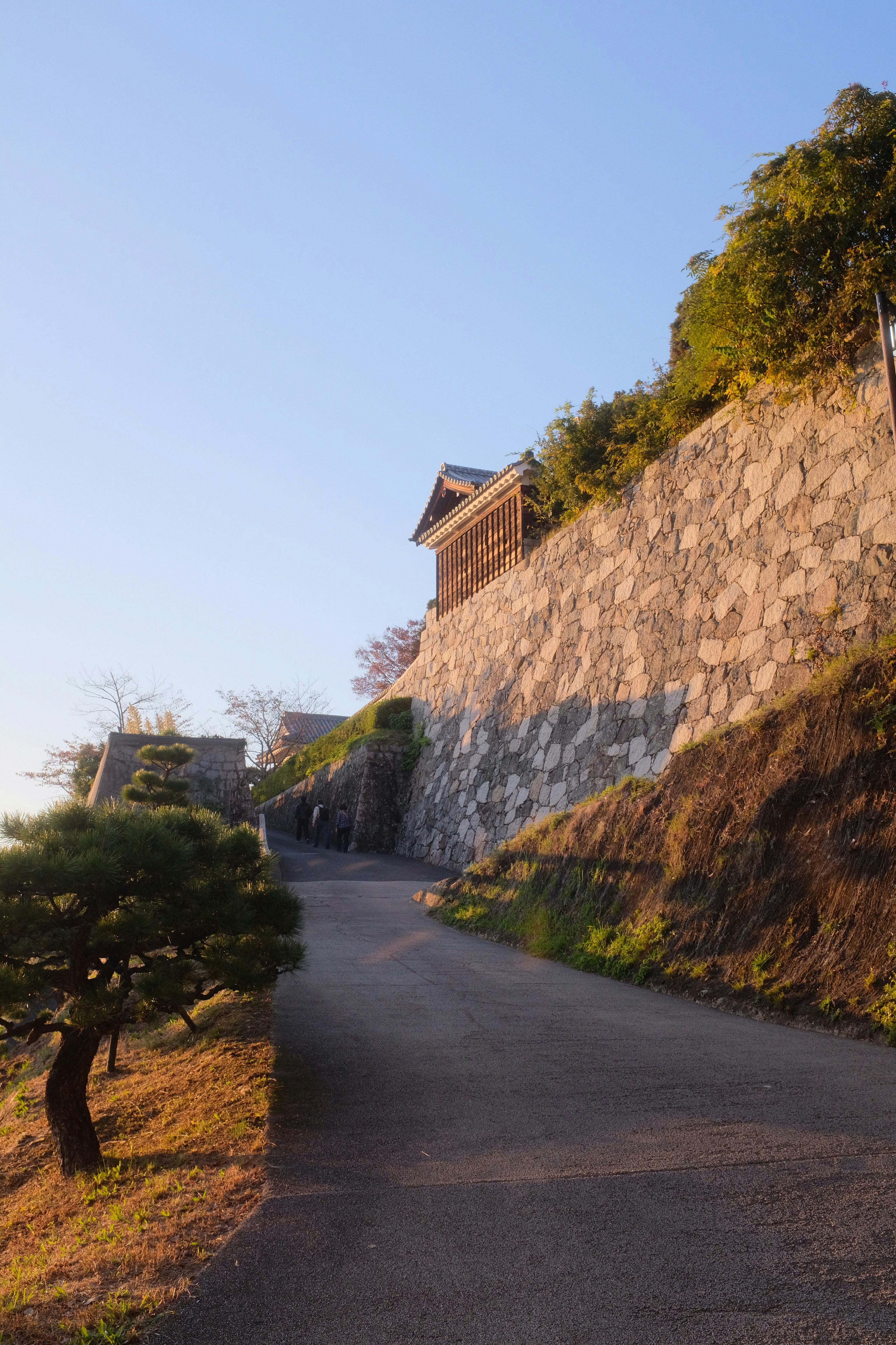Winding path leading up to a historic stone wall, framed by lush greenery and a tranquil atmosphere.