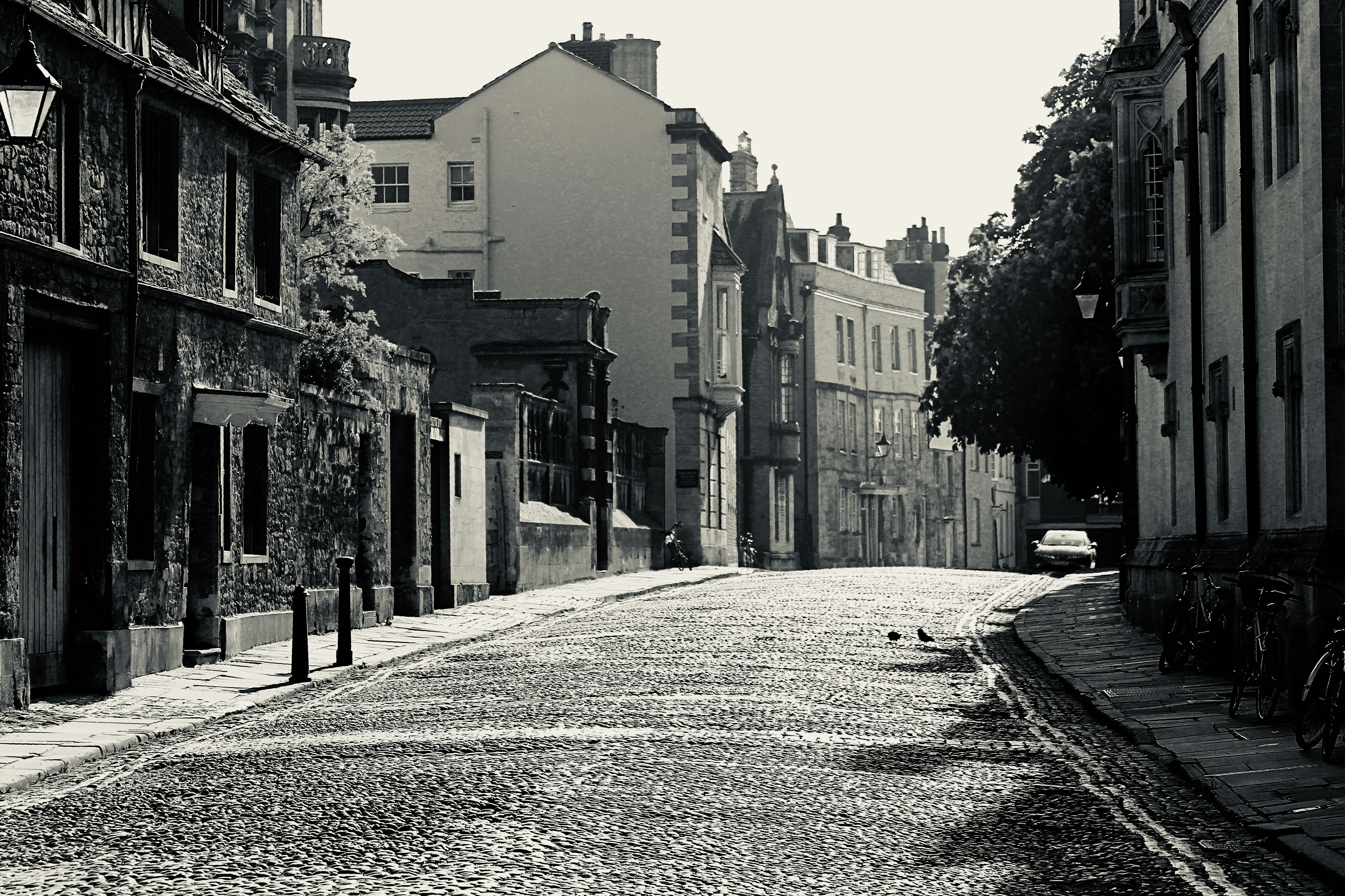 Photo by James Wainscoat with Canon EOS 7D