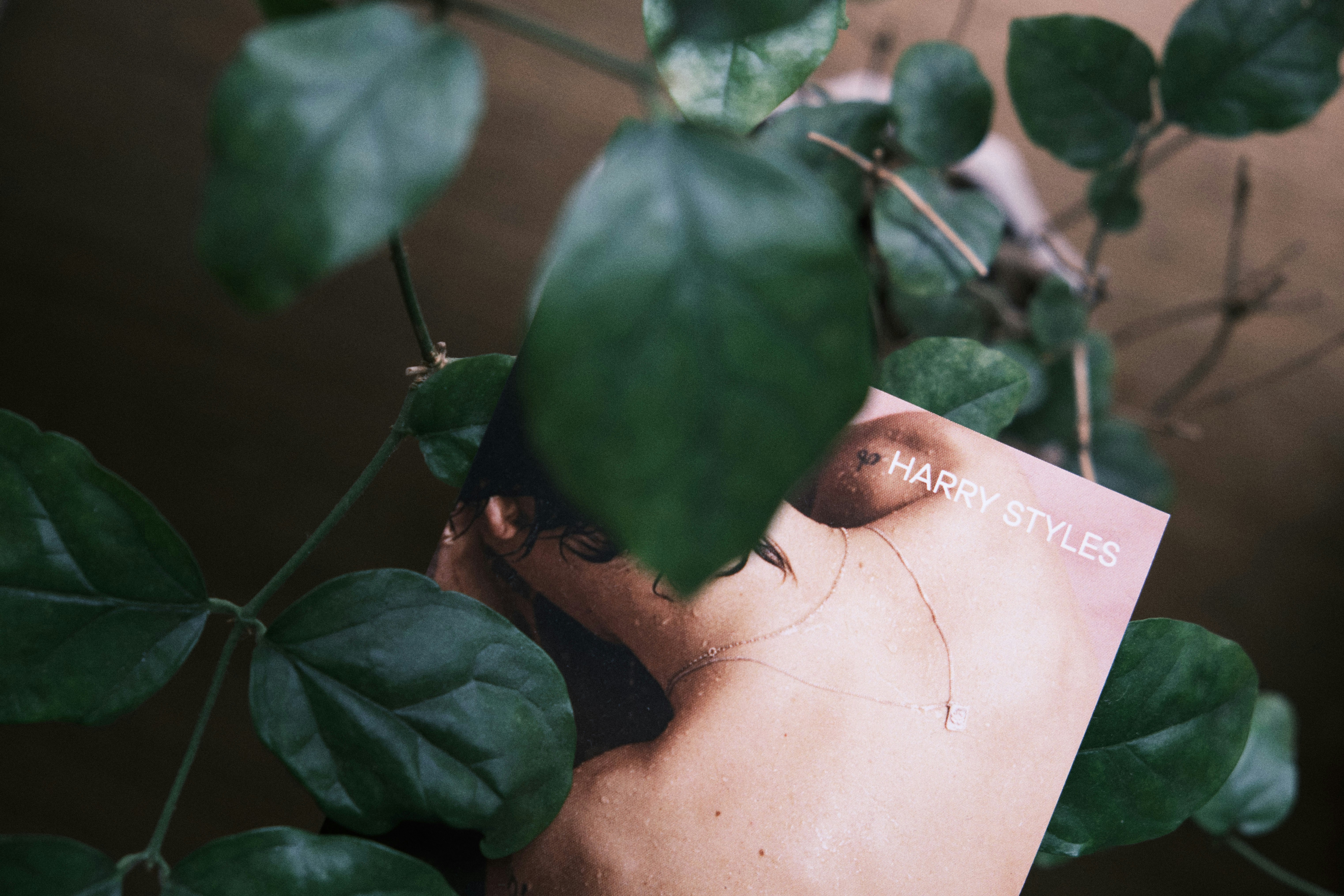 Verdant Veil Over a Harry Styles Magazine Cover