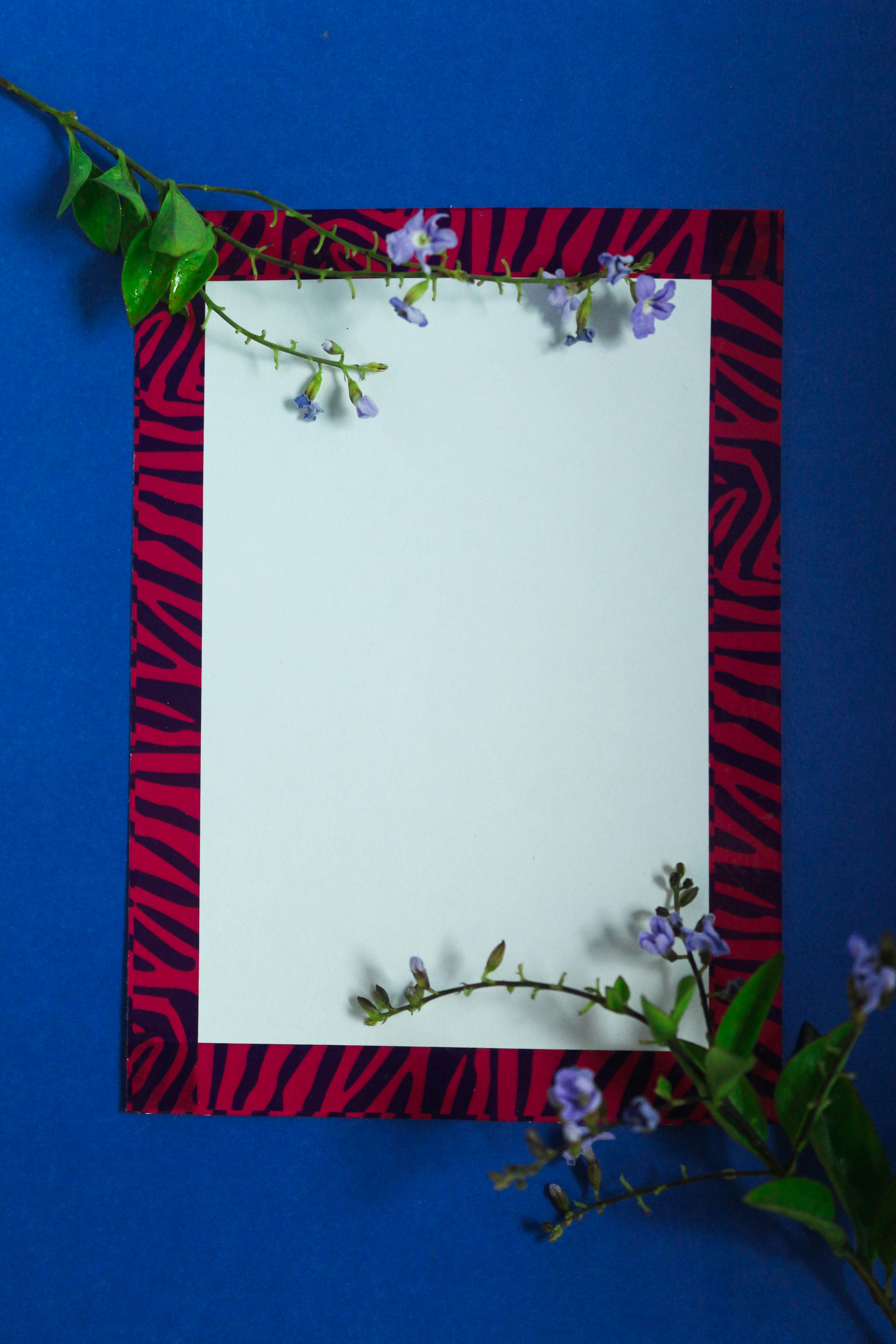 Framed Violet Blooms on a Zebra-Striped Border Against Blue Backdrop