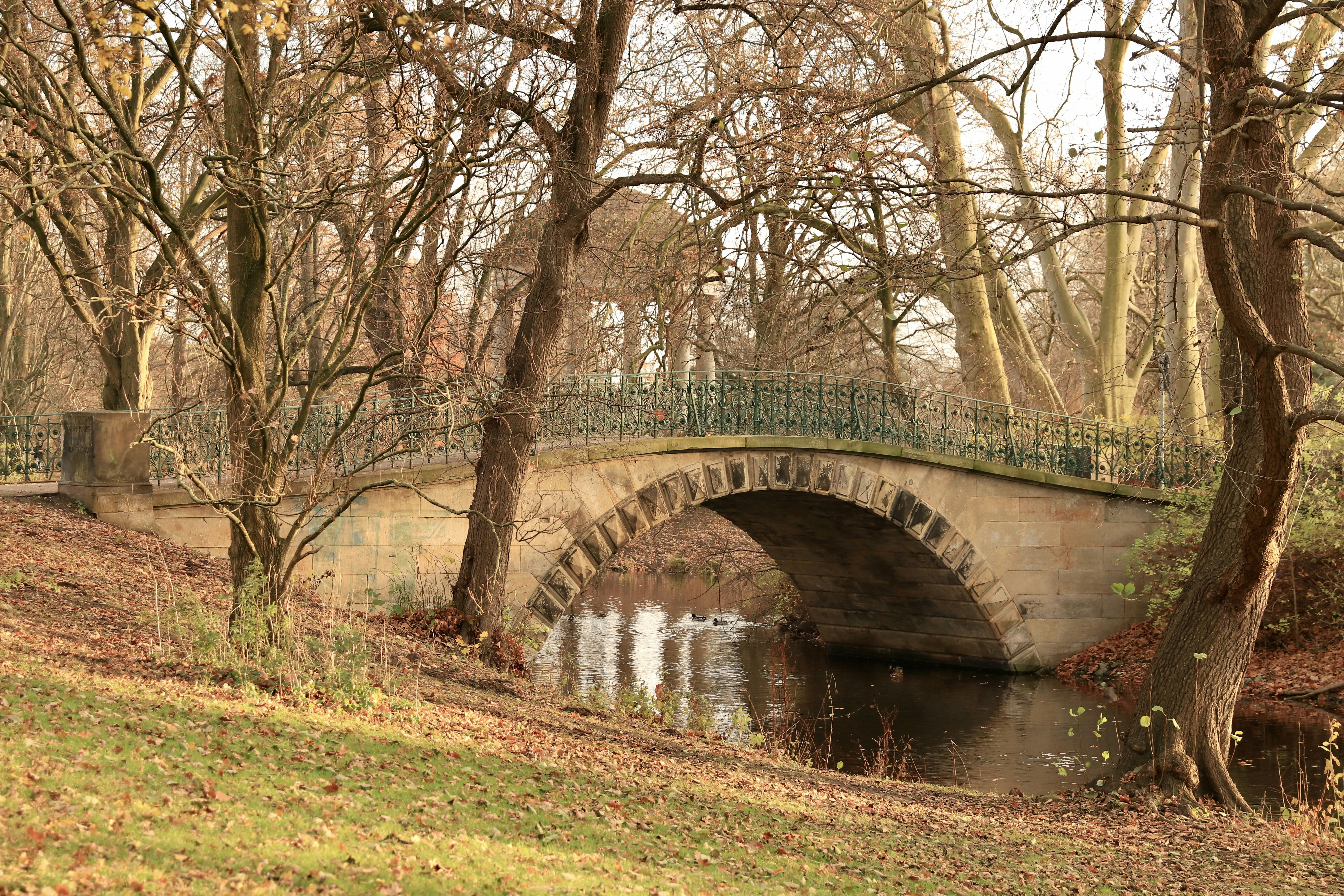 Idyllic Pictures | Download Free Images on Unsplash