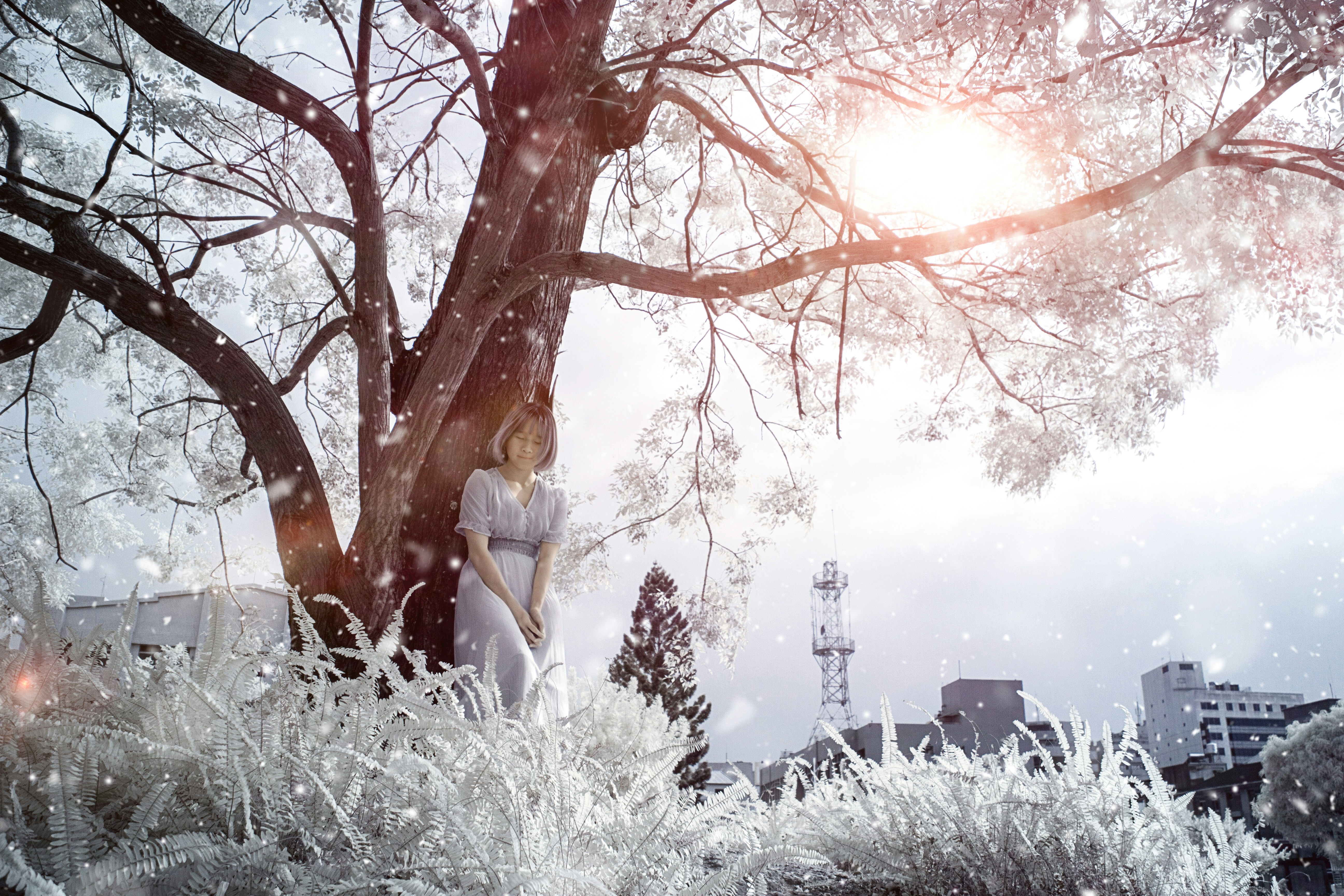 Winter Veil: A Quiet Figure Beneath Frozen Branches