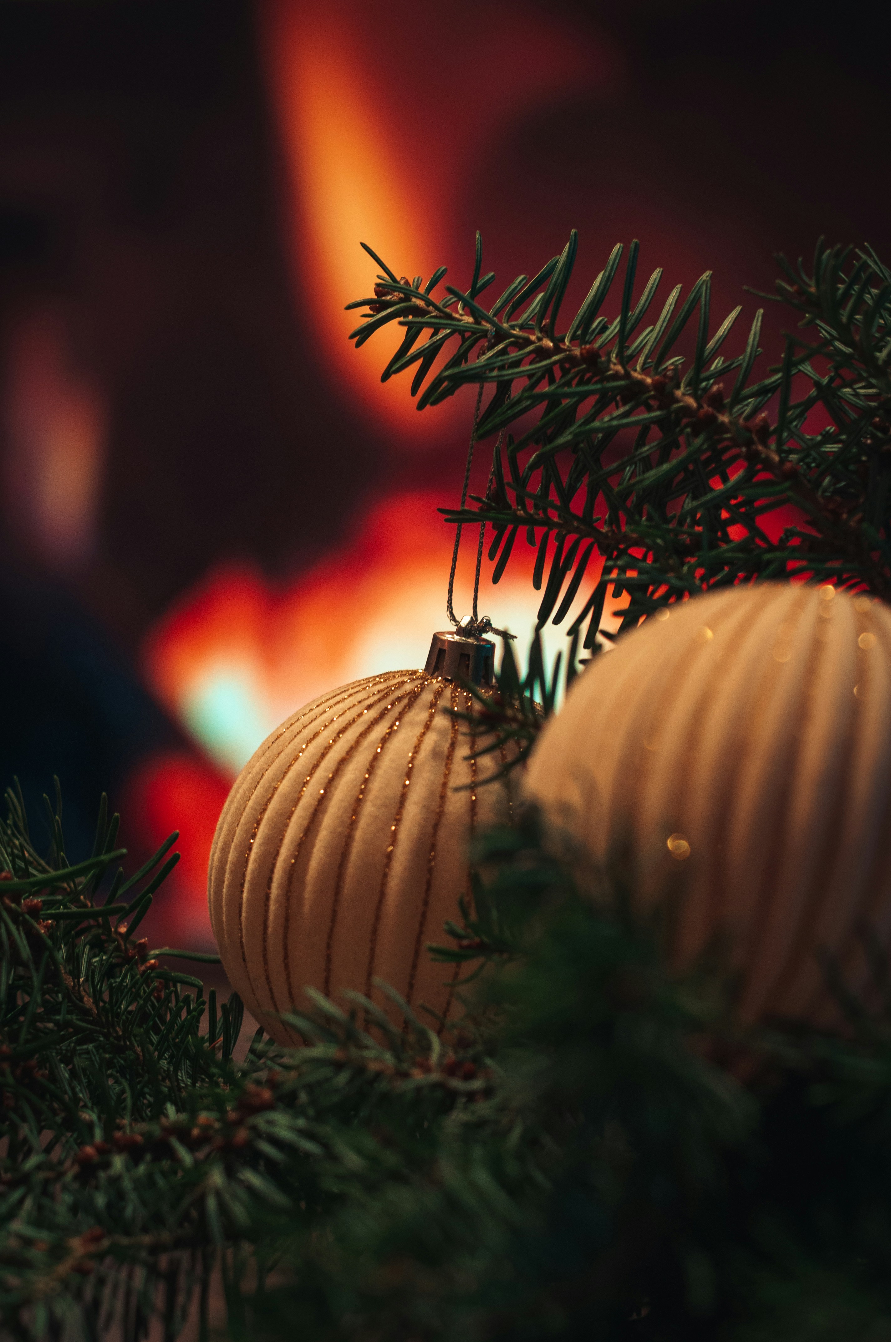 Yellow baubles on green pine tree photo – Free Tree Image on Unsplash