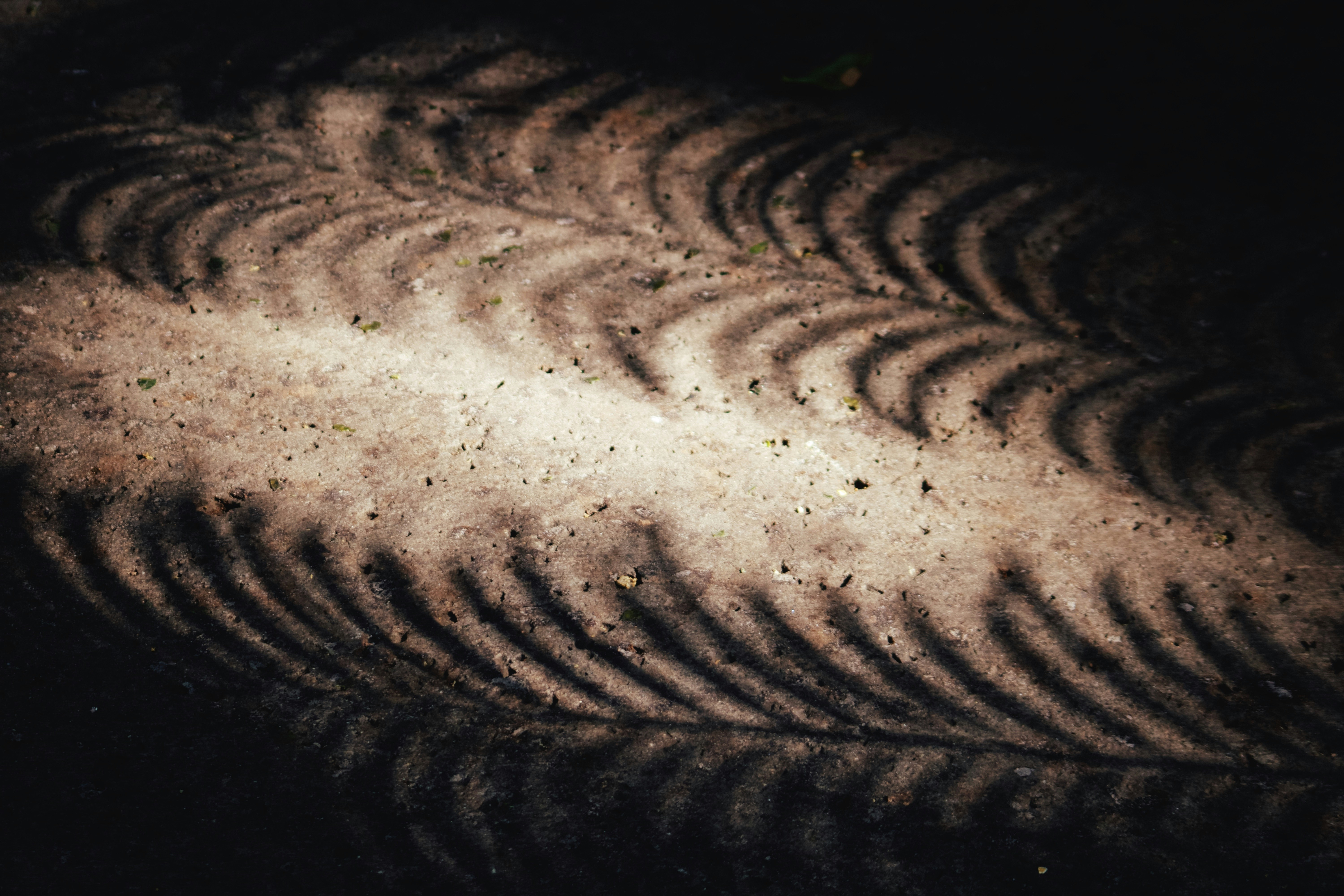 Crescent Ripples in a Shadowed Sand Slice