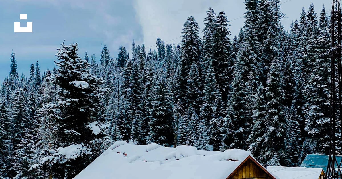 昼間は白い雲の下、木々の近くの雪に覆われた地面の茶色の木造住宅の写真 Unsplashのバクマロの無料画像