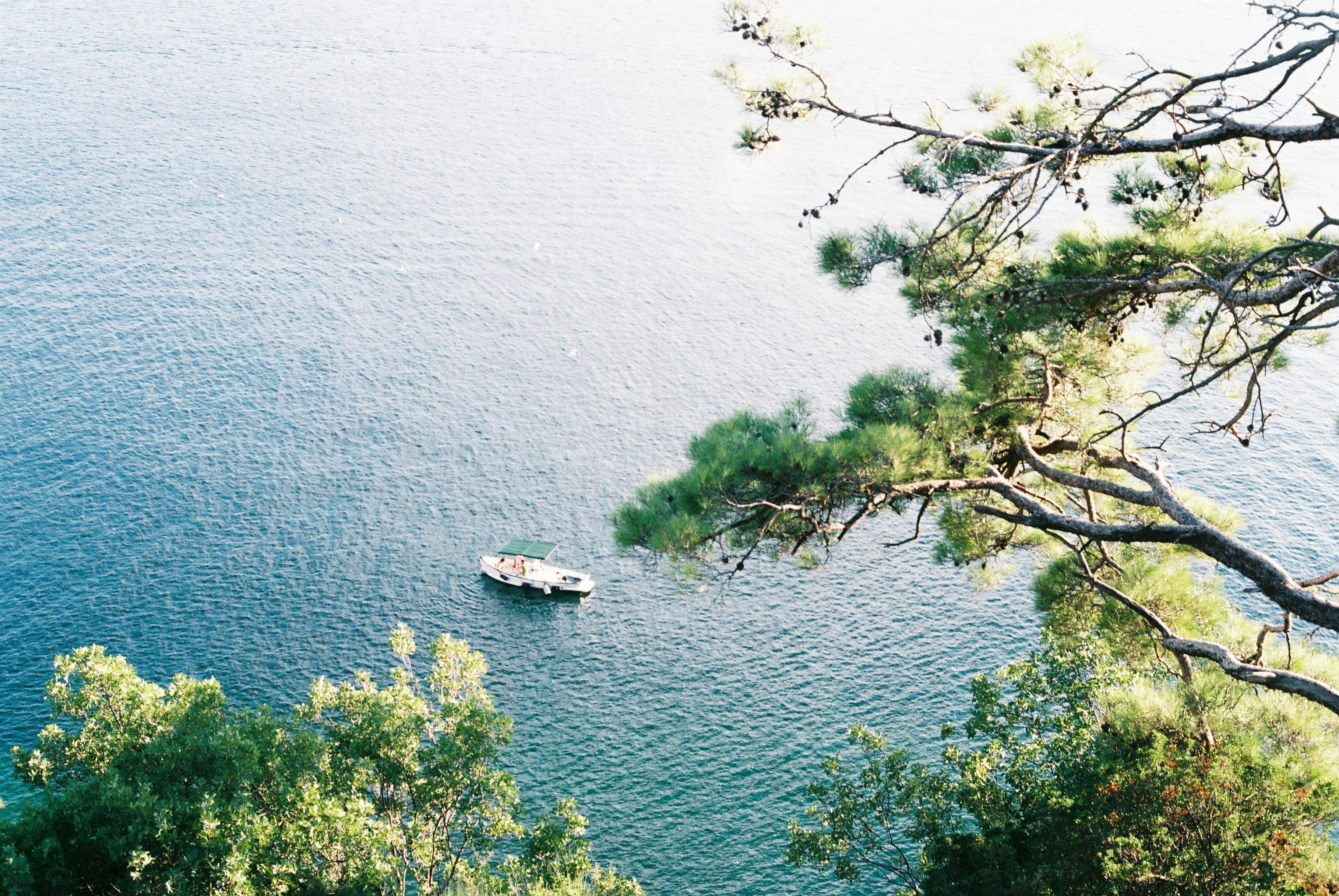 A small boat floats peacefully on the calm sea, framed by lush greenery and branches from above.