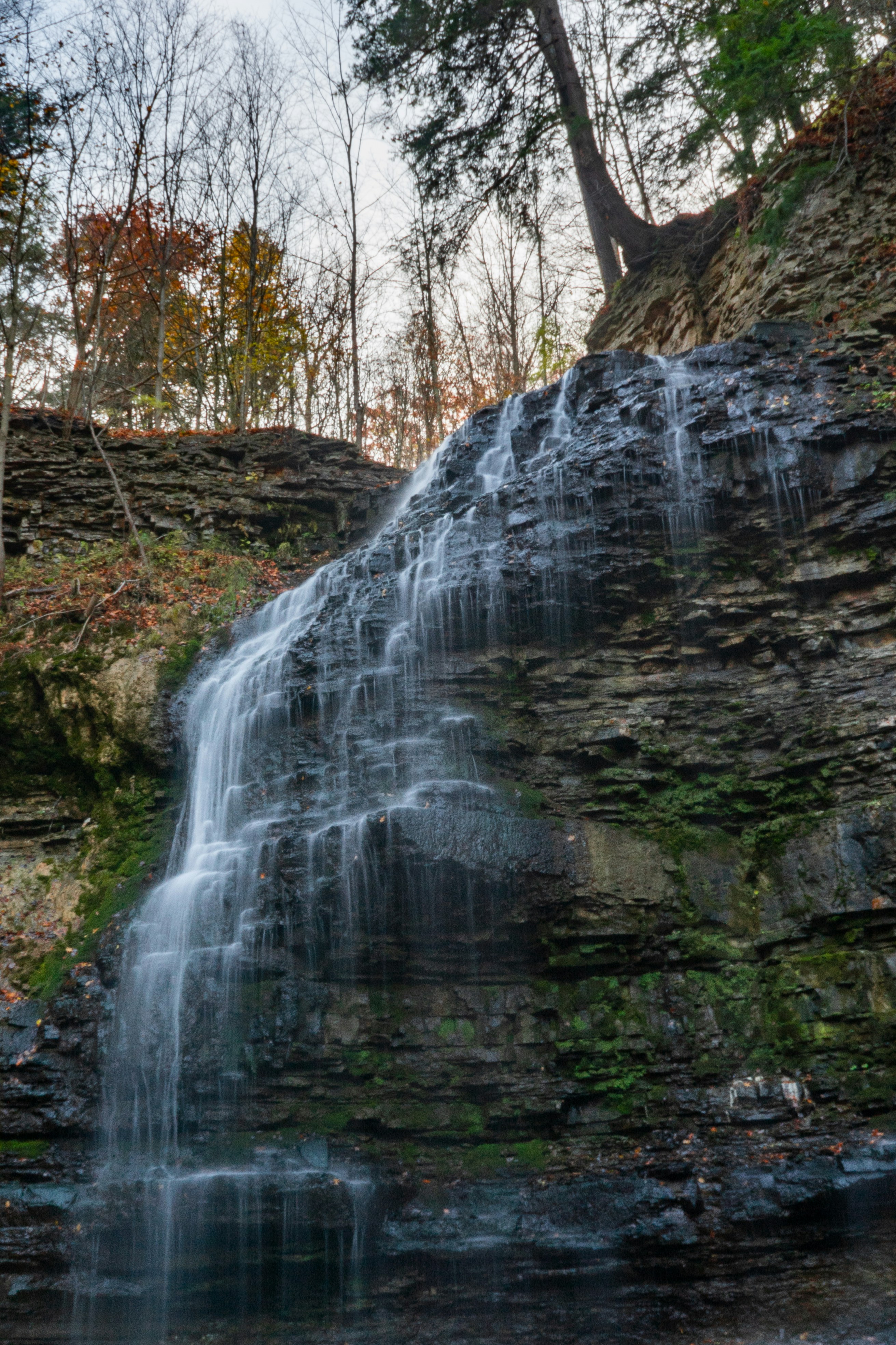 Gentle waterfall cascading over mossy rocks, surrounded by autumn foliage and towering trees. Soft light filters through the treetops.