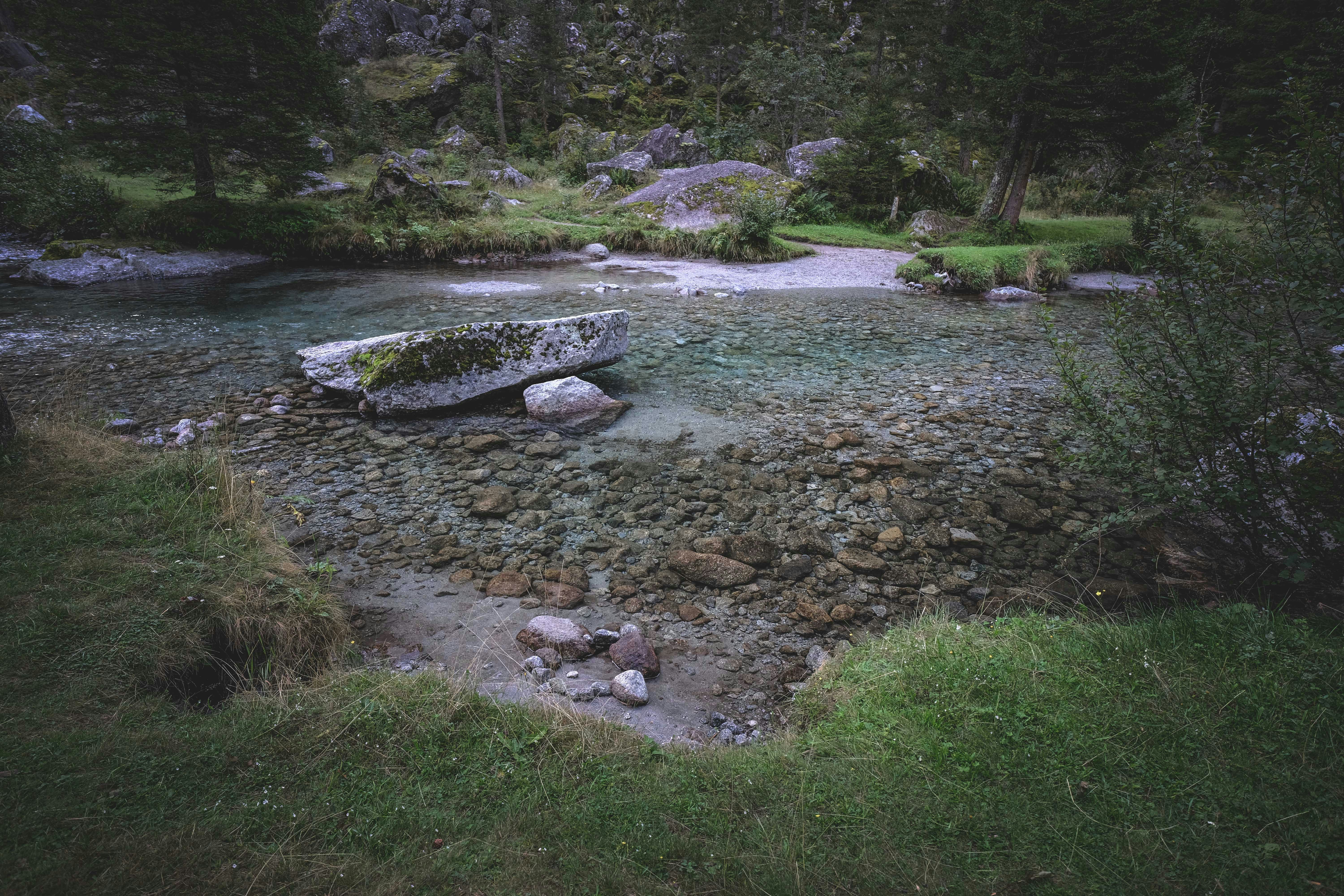Hidden Streambed Quietude at the Mossy Bend