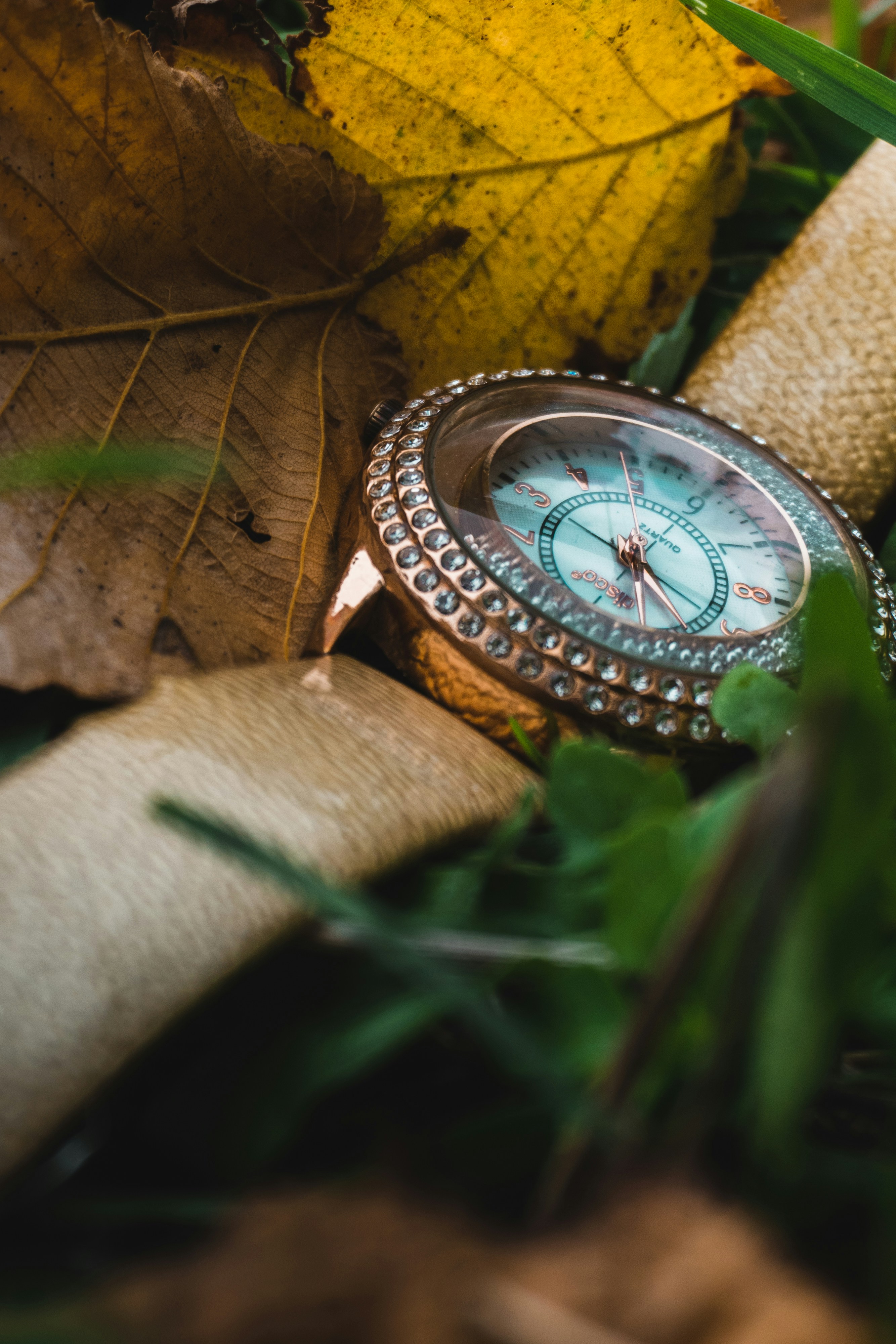 Emerald Time in the Ferns: A Pocket Watch Among Autumn Leaves