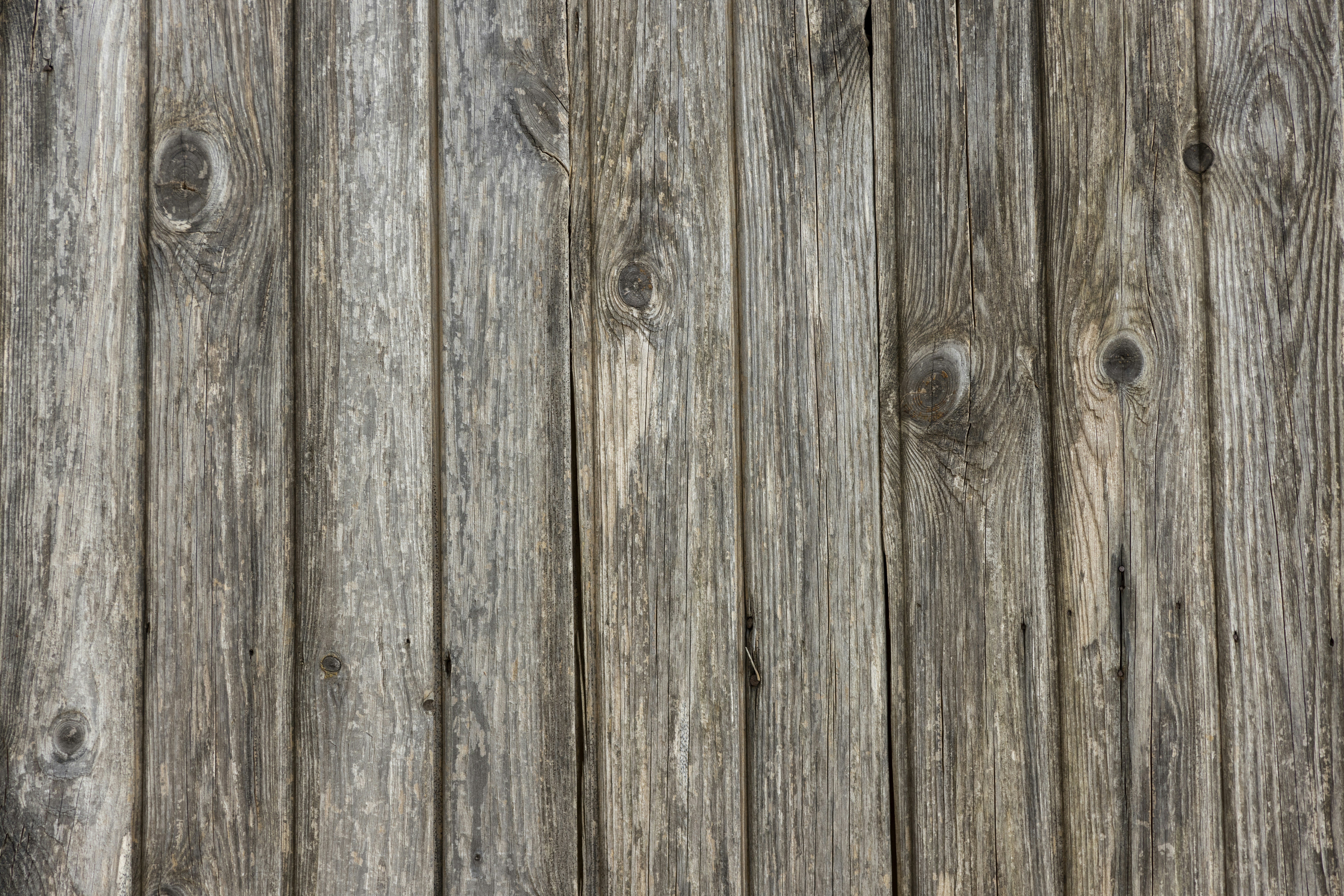 Wood Planks Pictures | Download Free Images on Unsplash