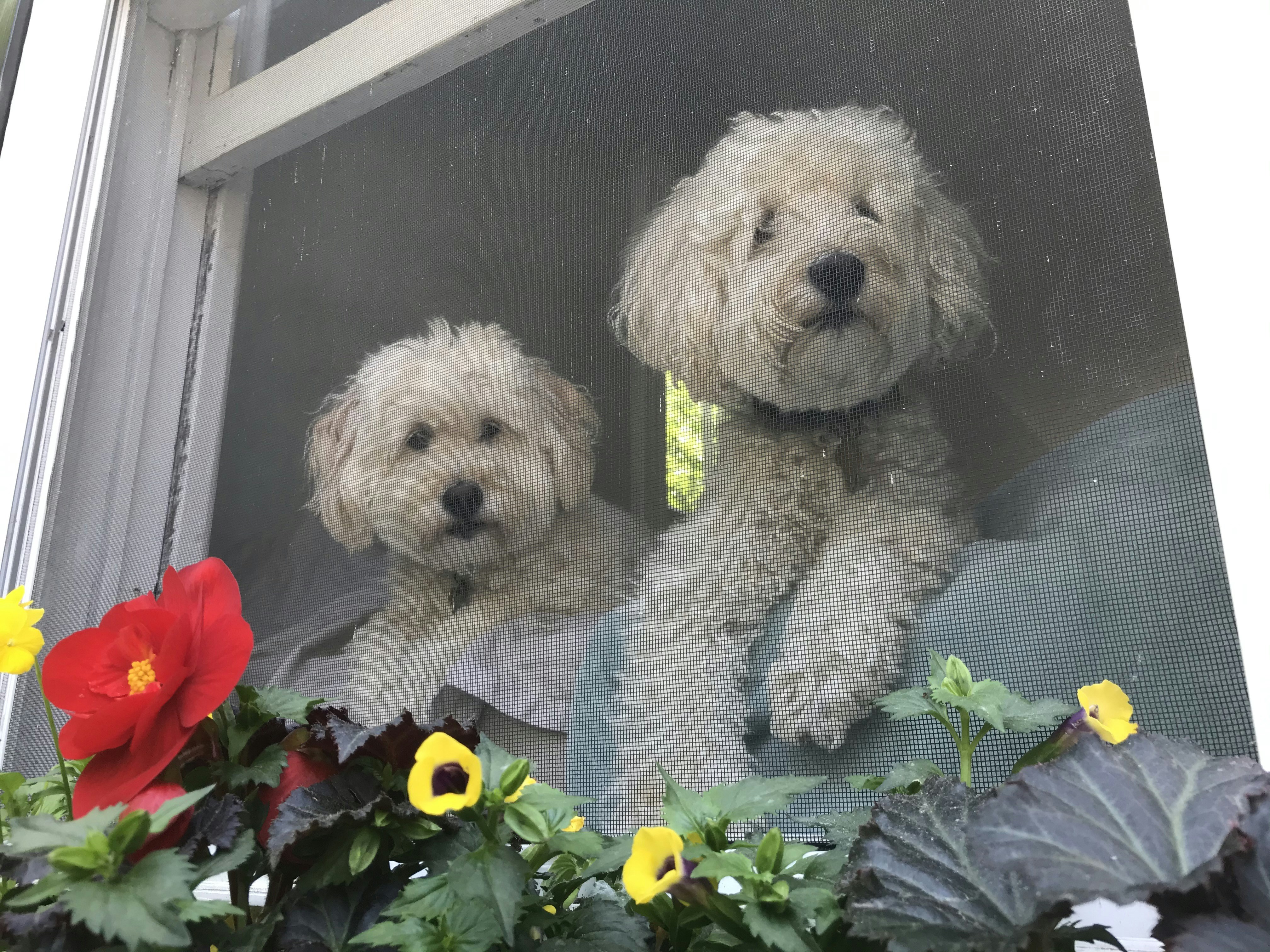 Gary Gillis (@garymgillis) | Comunidade de fotos da Unsplash