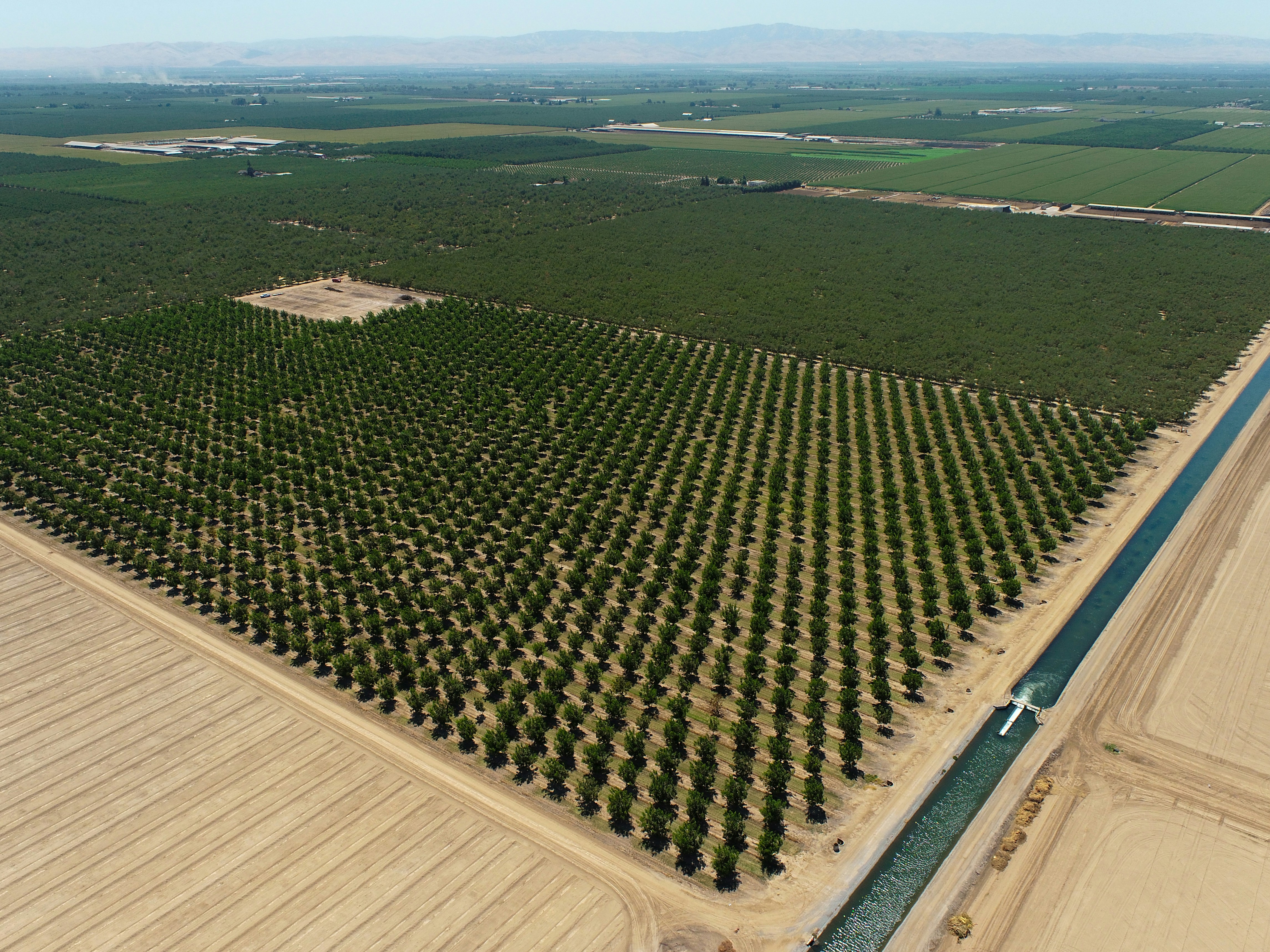 Symphony of Green: Aerial Harmony in Agriculture