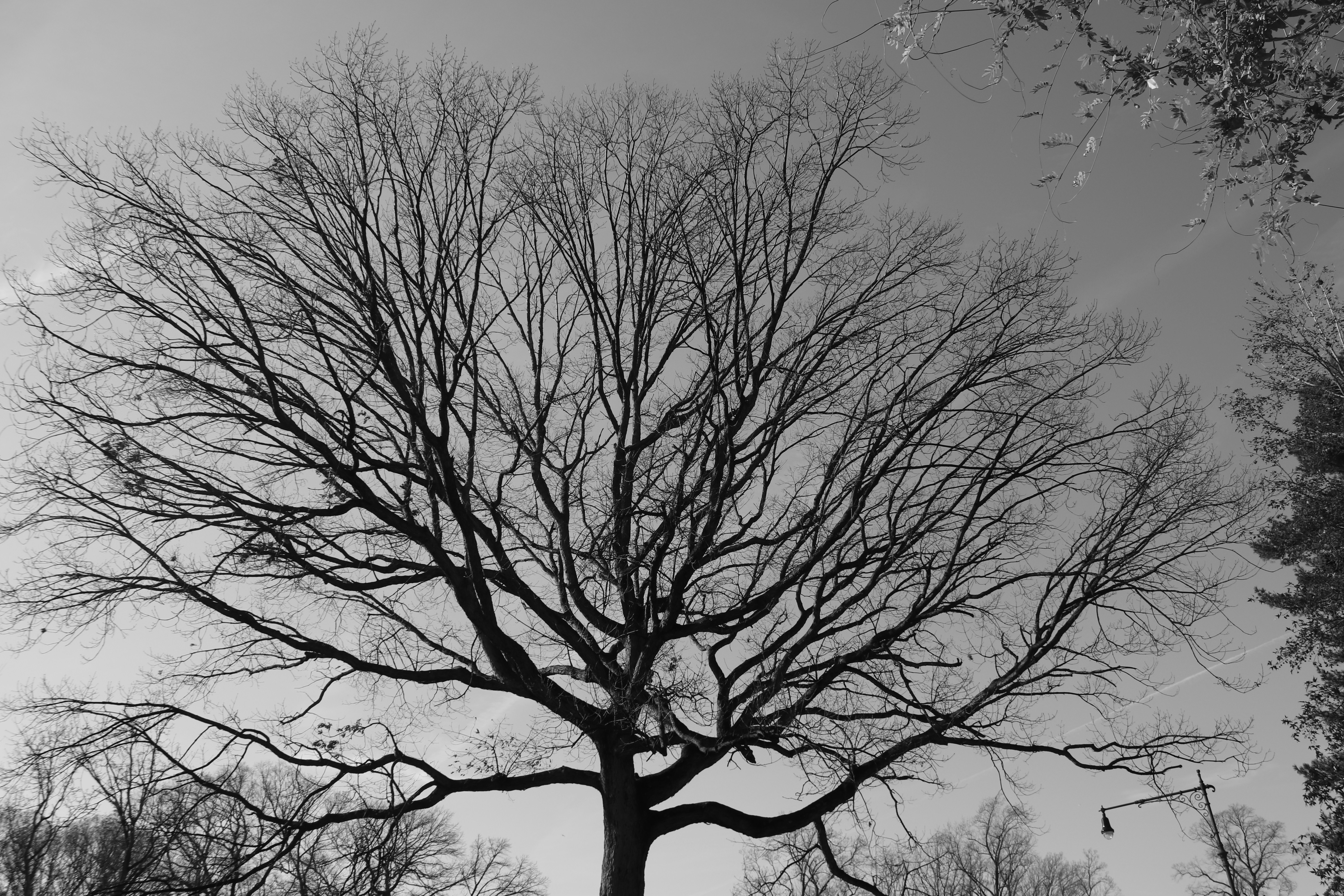 Naked Architecture - by Angela Hock - Angela’s Substack