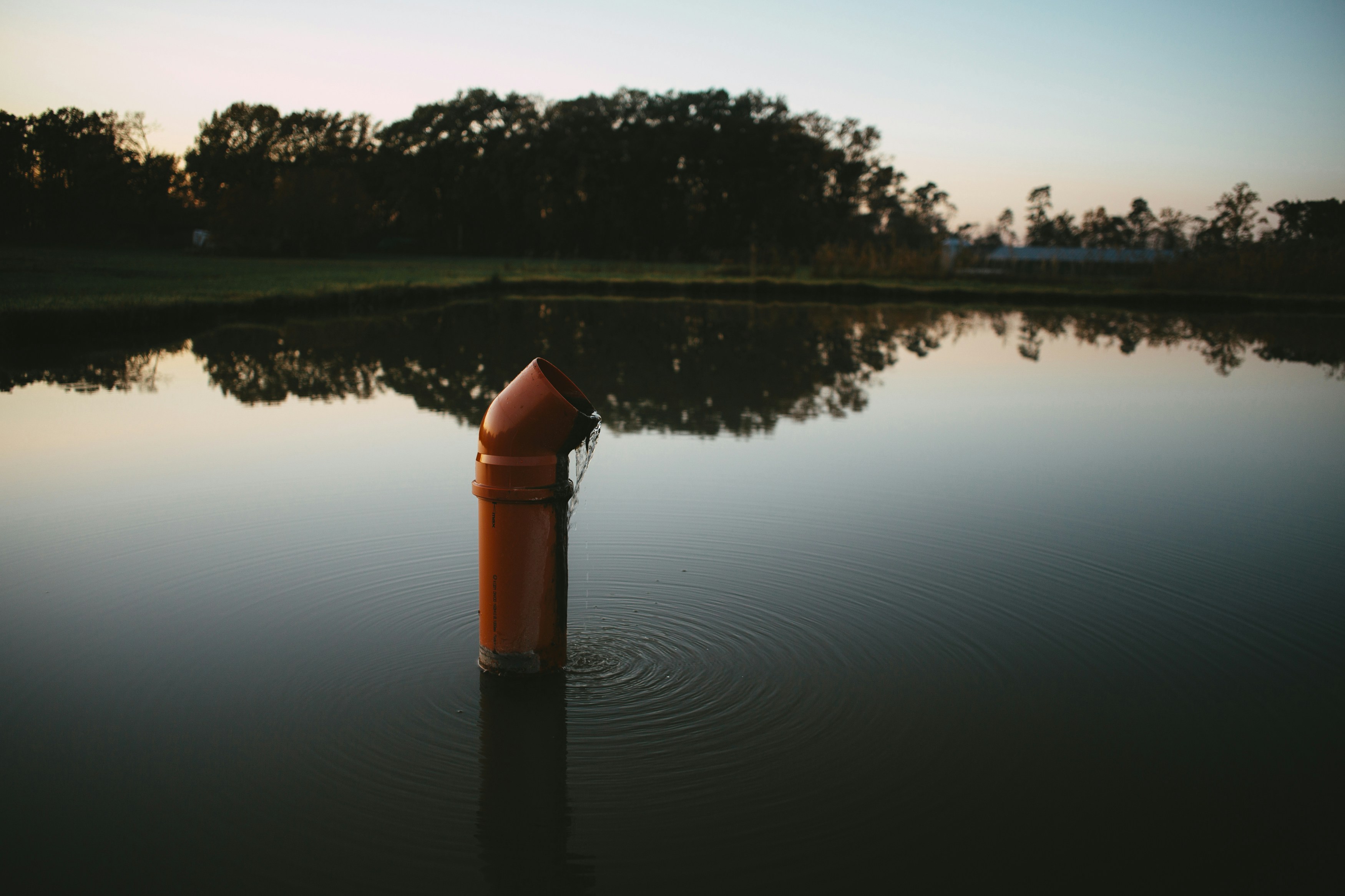 Red Pipe at Dusk: Echoes on a Quiet Pond