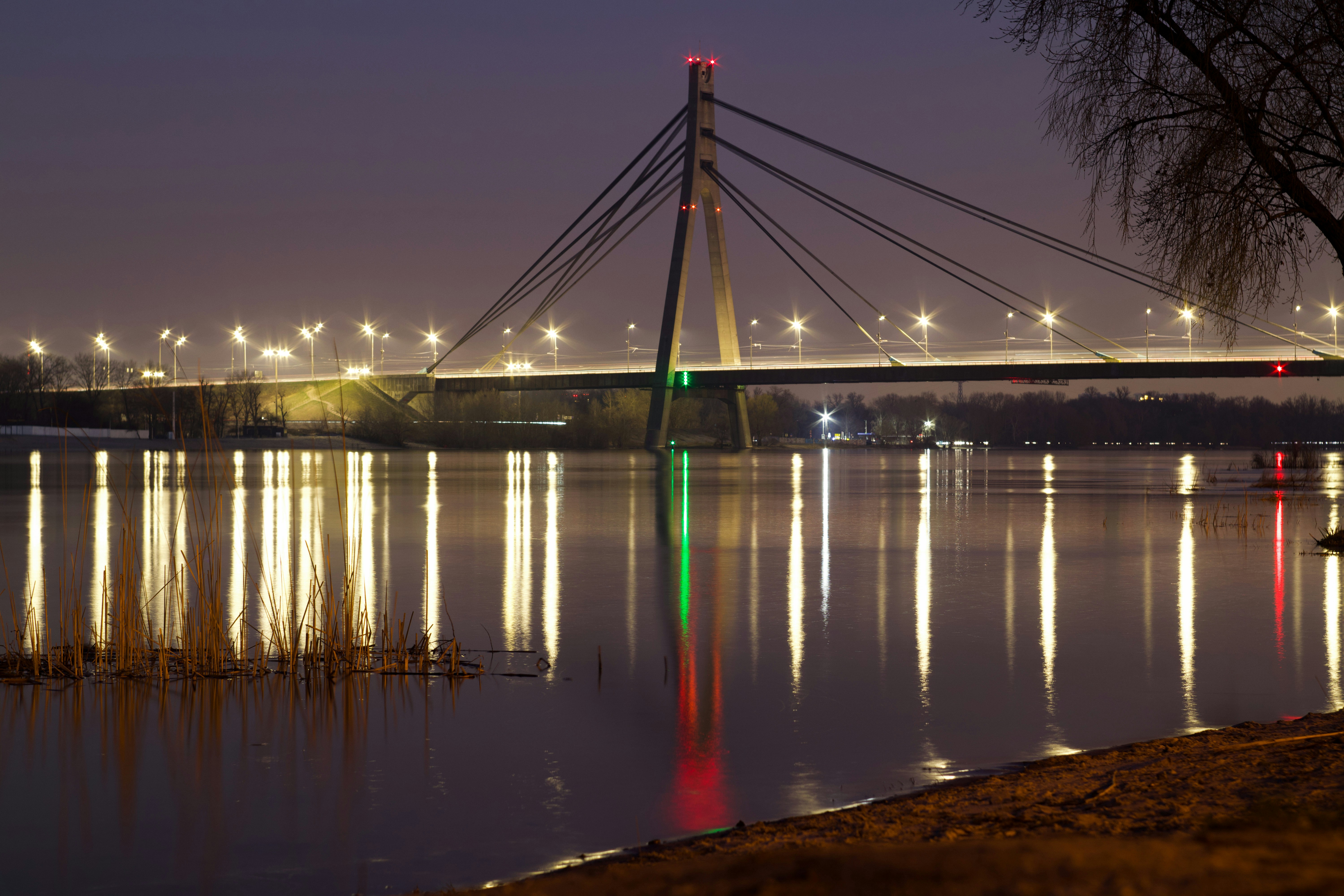 Neon Reflections: A Nighttime Cable-Stayed Bridge Portrait