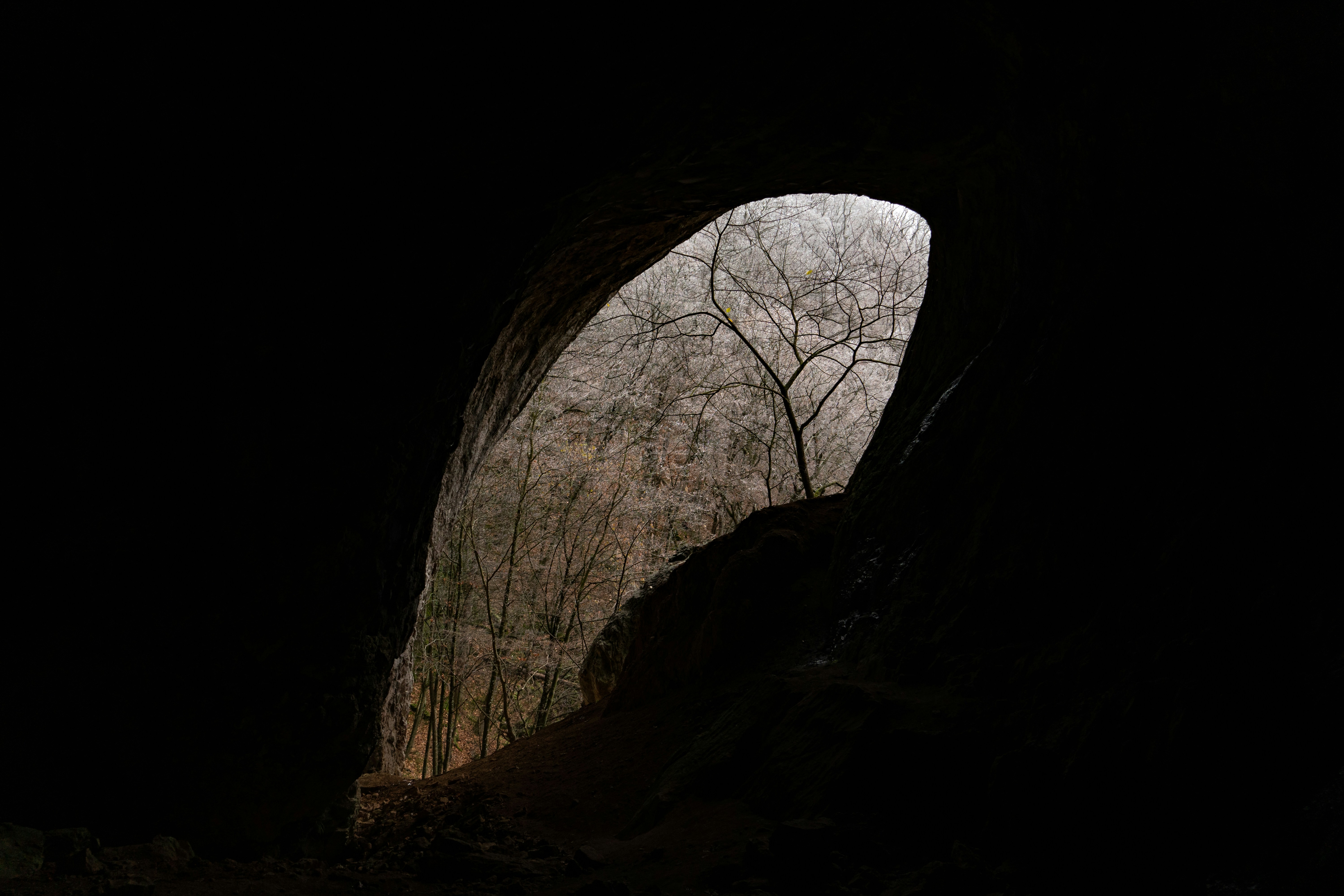 Silhouette of a cave entrance framing a winter landscape with bare trees outside. Light filters through, revealing the contrast between dark and illuminated areas.