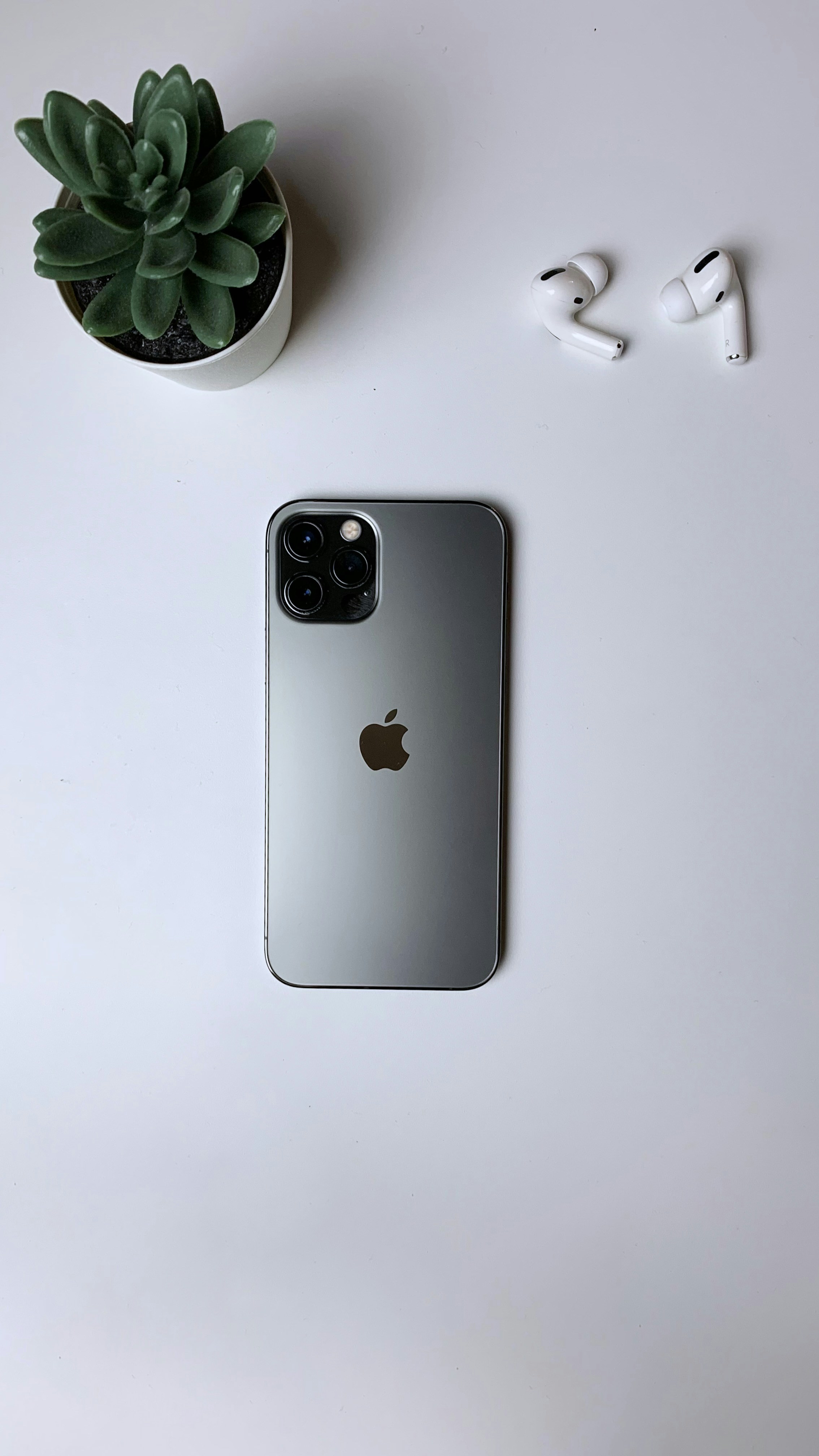 Apple iPhone 11 Pro resting on a clean surface alongside AirPods and a succulent plant.